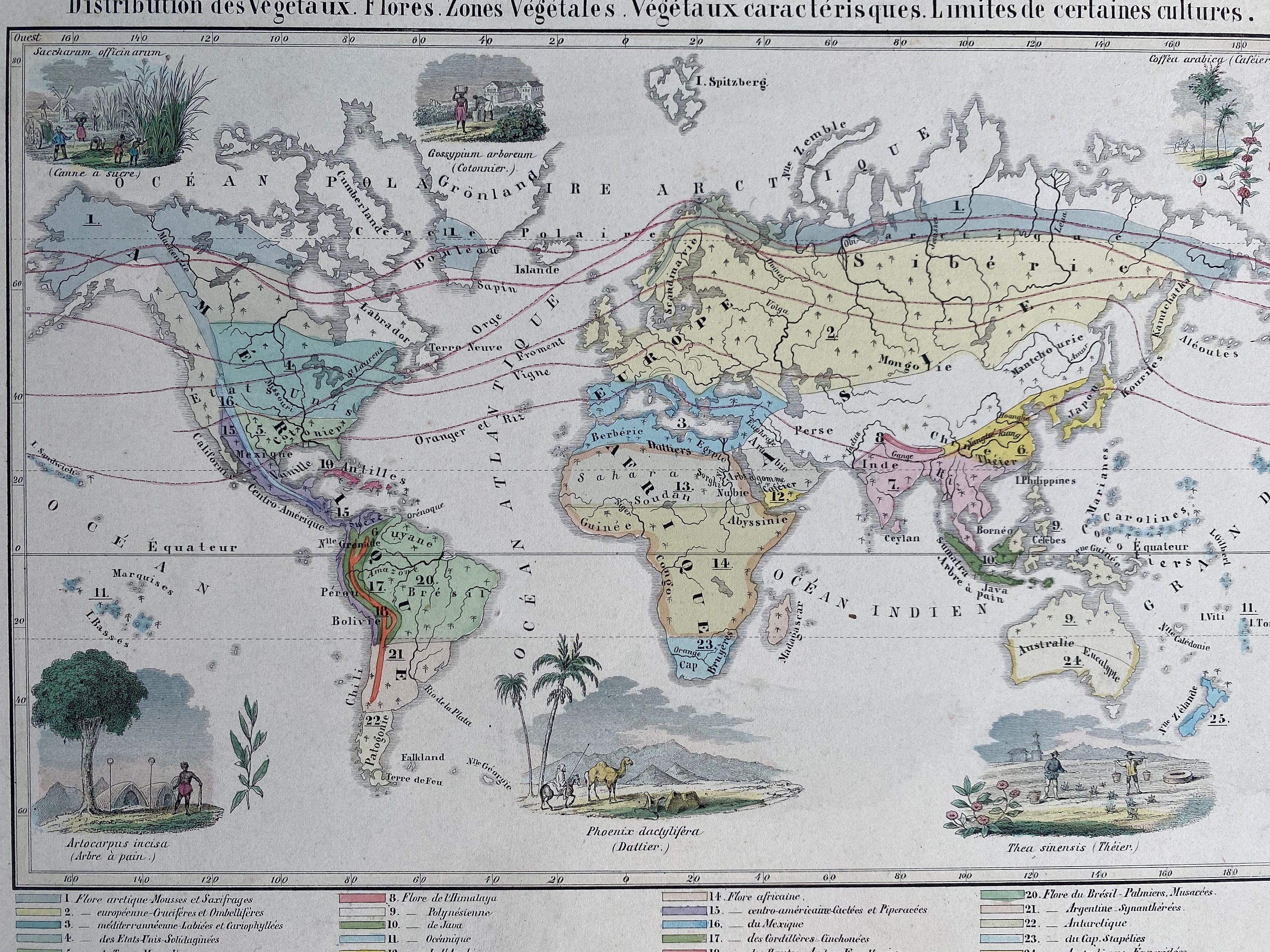 1858 Original Antique World Map Showing Botanical Regions and - Etsy