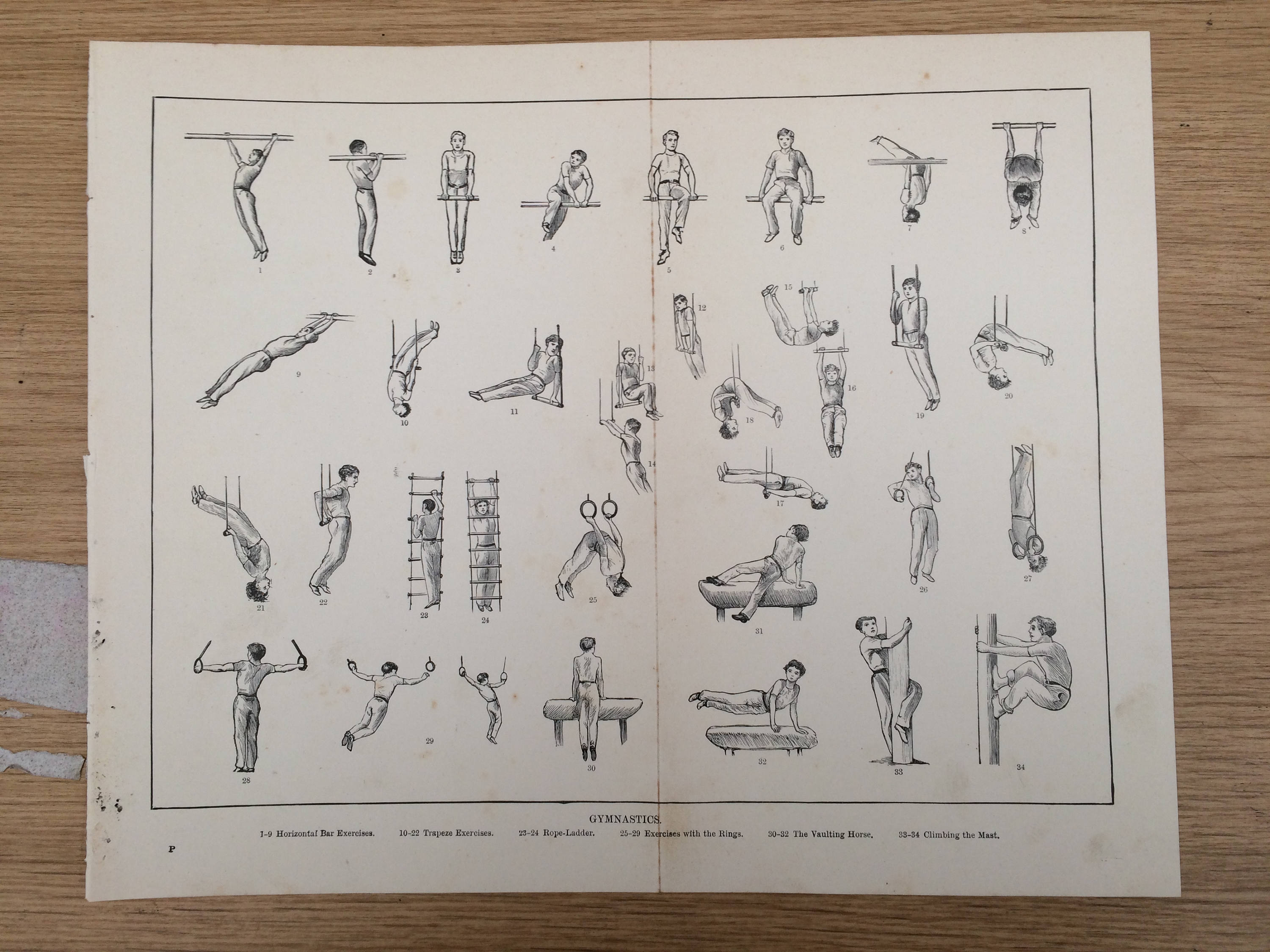 1900 Gymnastics Original Antique Lithograph - 9 x 11 inches ...