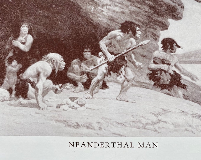 1935 Neanderthal Man Original Antique Print - Prehistoric Illustration ...