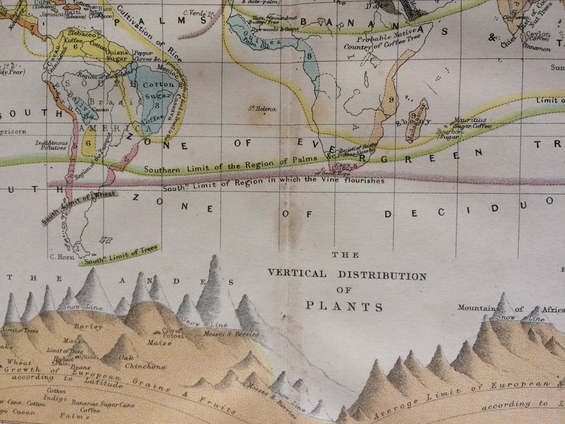 1871 Original Antique World Map Showing the Distribution & | Etsy