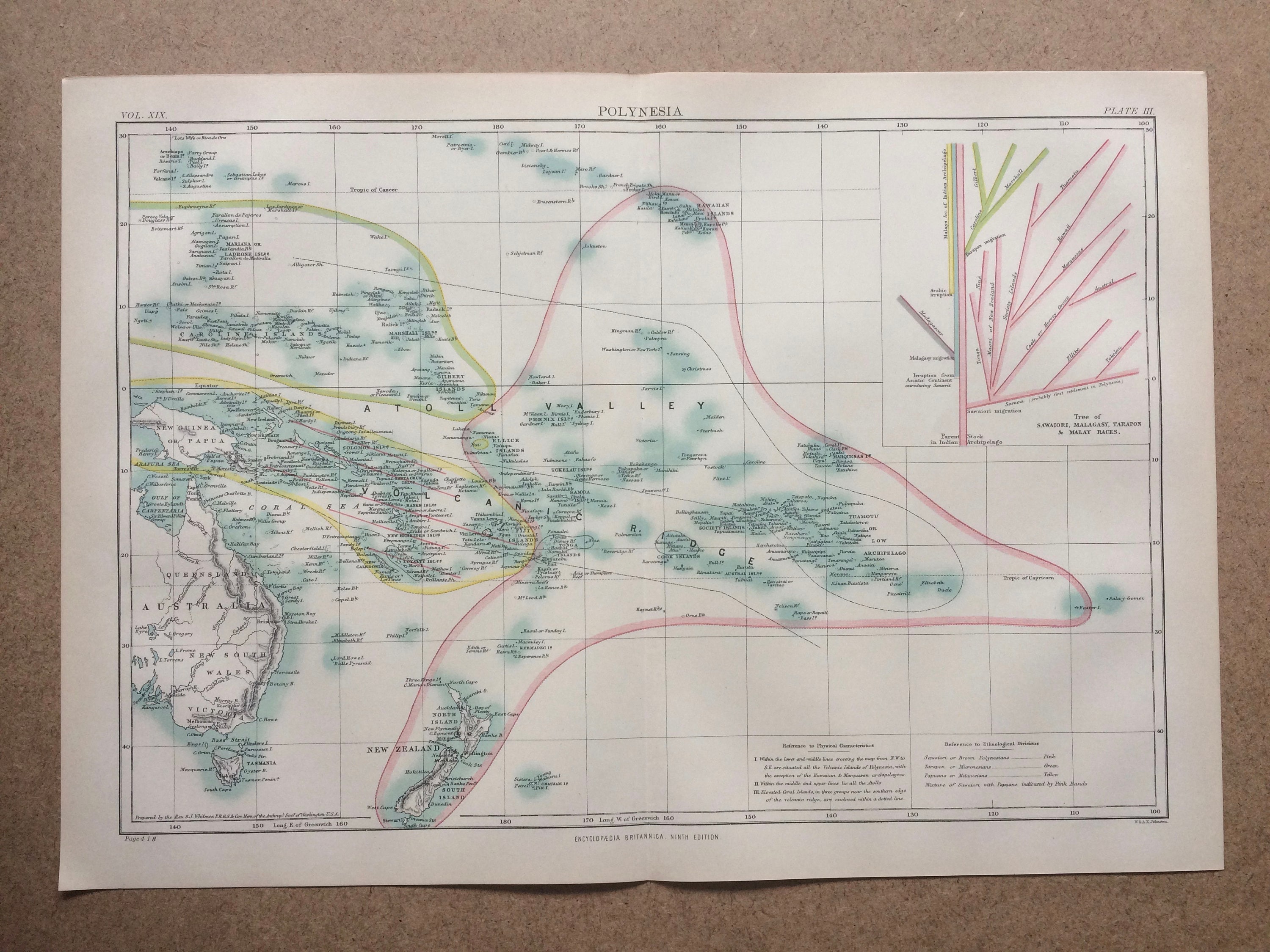 1875 POLYNESIA large original antique map with tree of Sawaiori ...