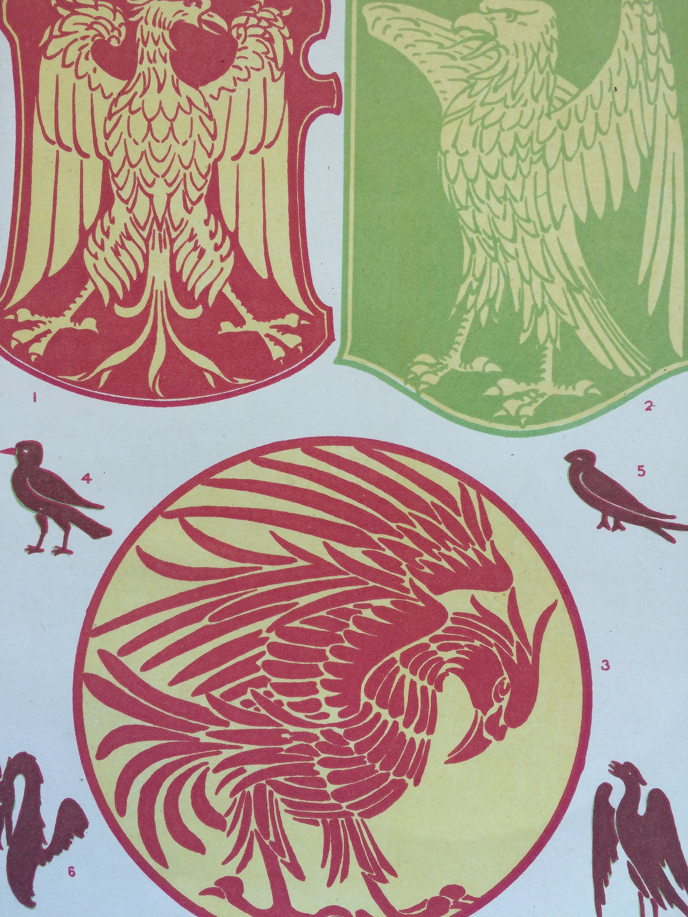 1903 Heraldic Birds Design Original Antique Matted Lithograph - Wall ...