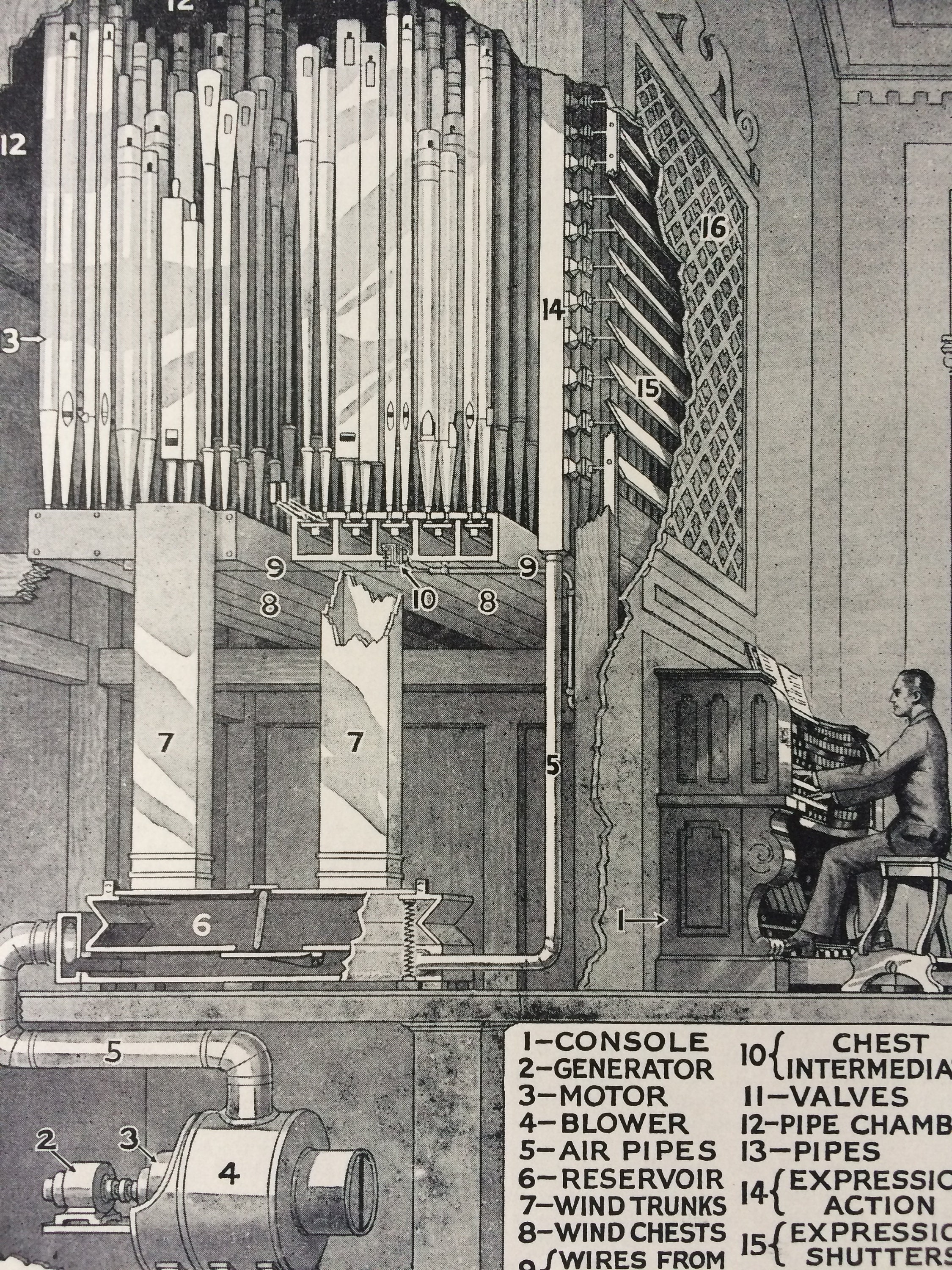 1940s Organ Diagram Original Vintage Print - Mounted and Matted - Gift ...