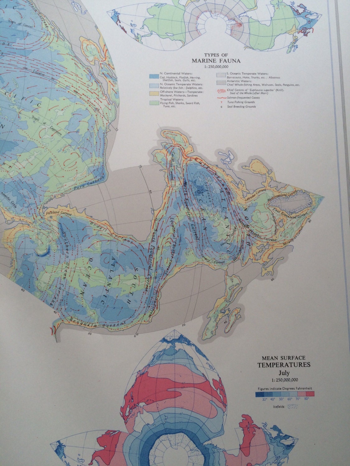 1958 WORLD OCEANOGRAPHY Extra Large Original Vintage World Map ...