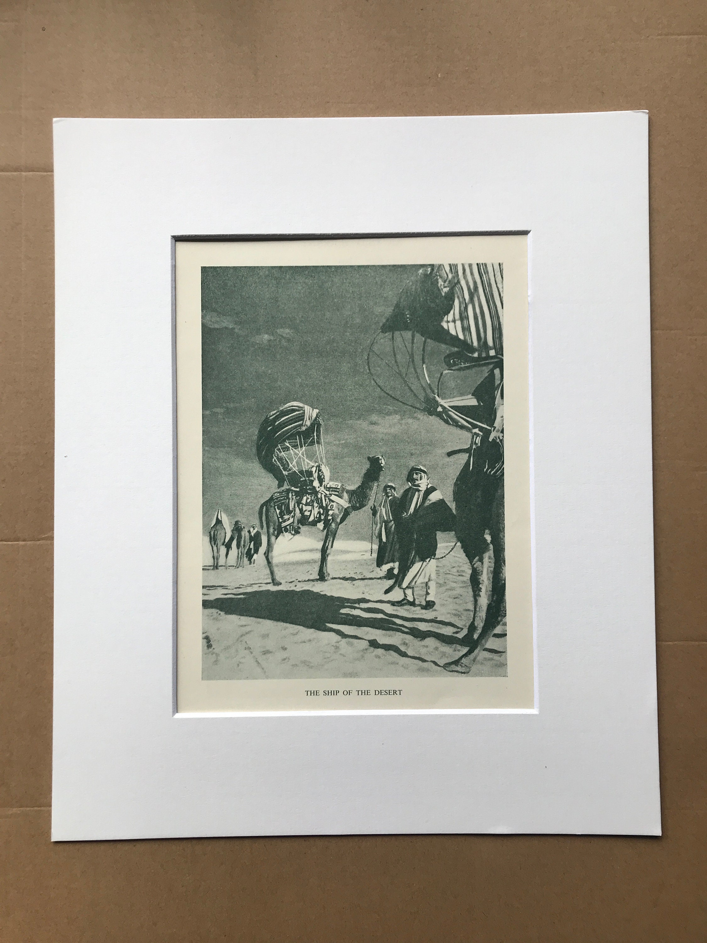 1925 The Ship of the Desert Original Vintage Print - Camel - Mounted ...