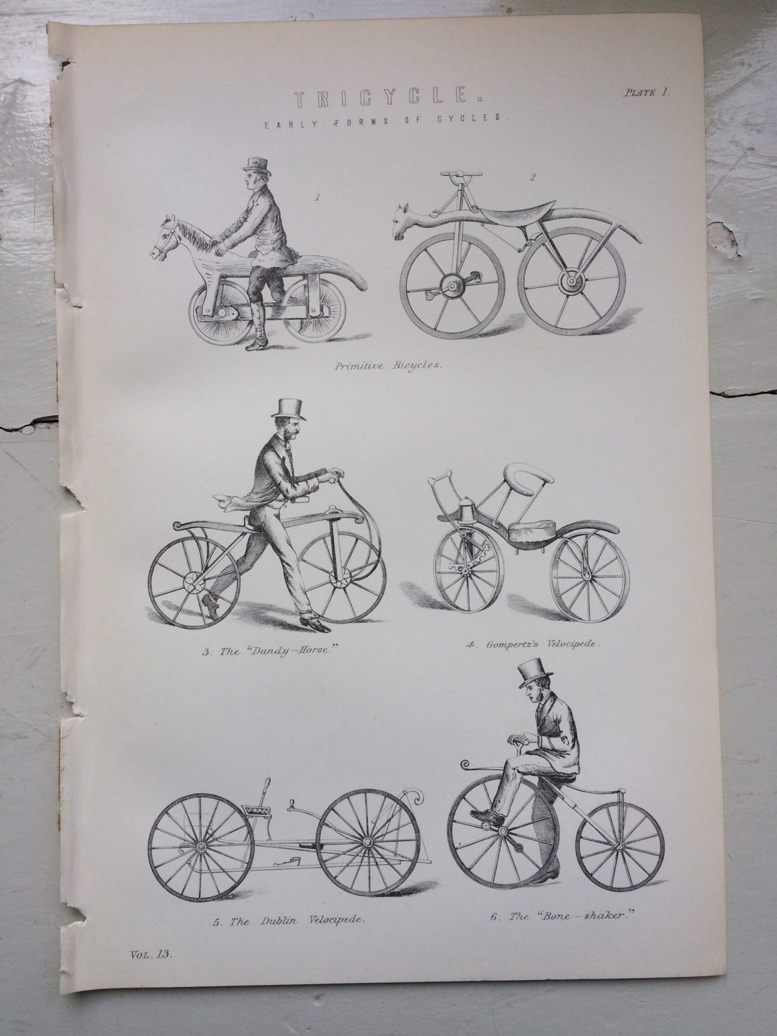 1891 Original Antique Steel Engraving - Early forms of Bicycle ...