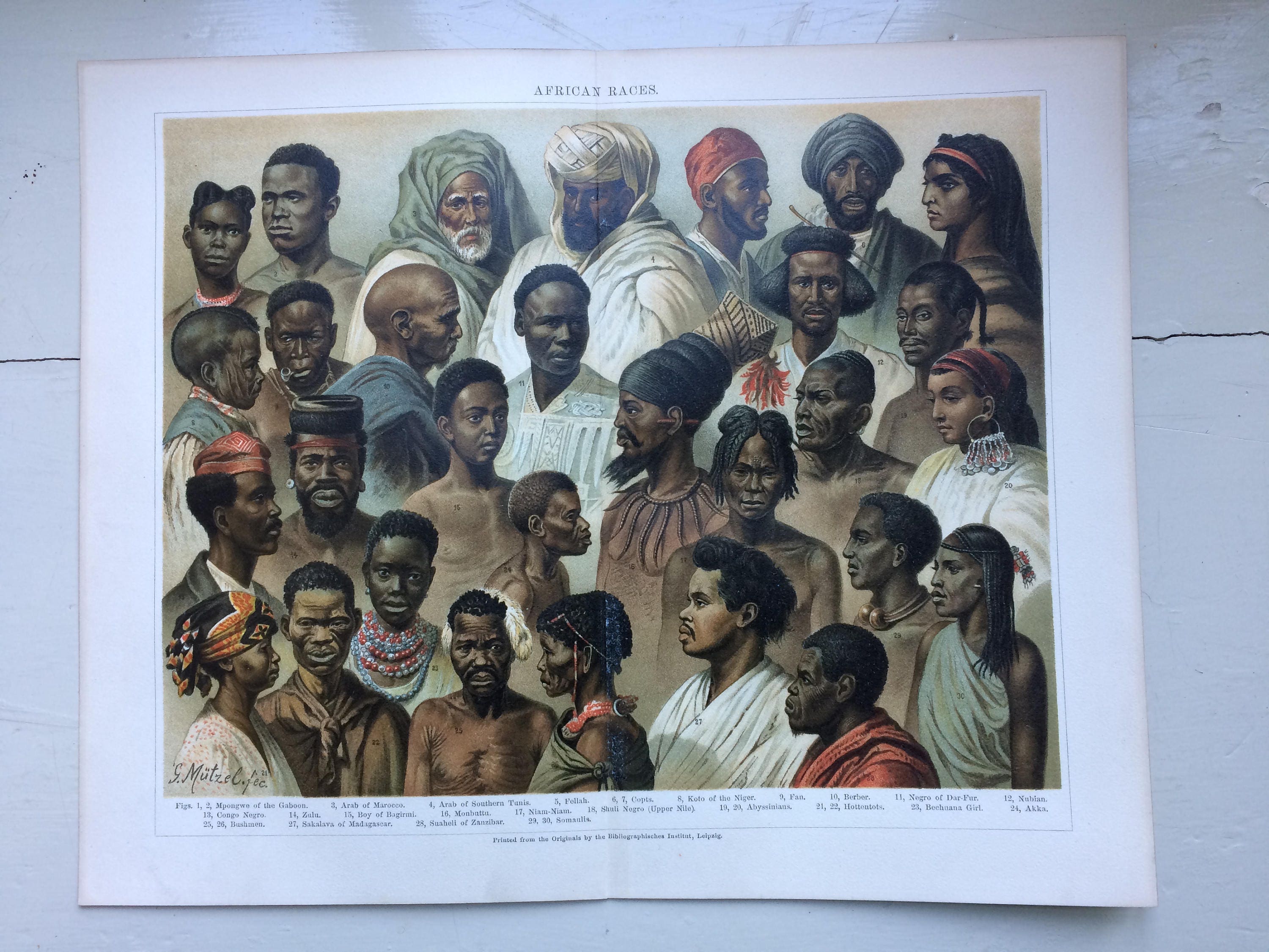 1904 African Races original antique print - 10 x 12 inches ...