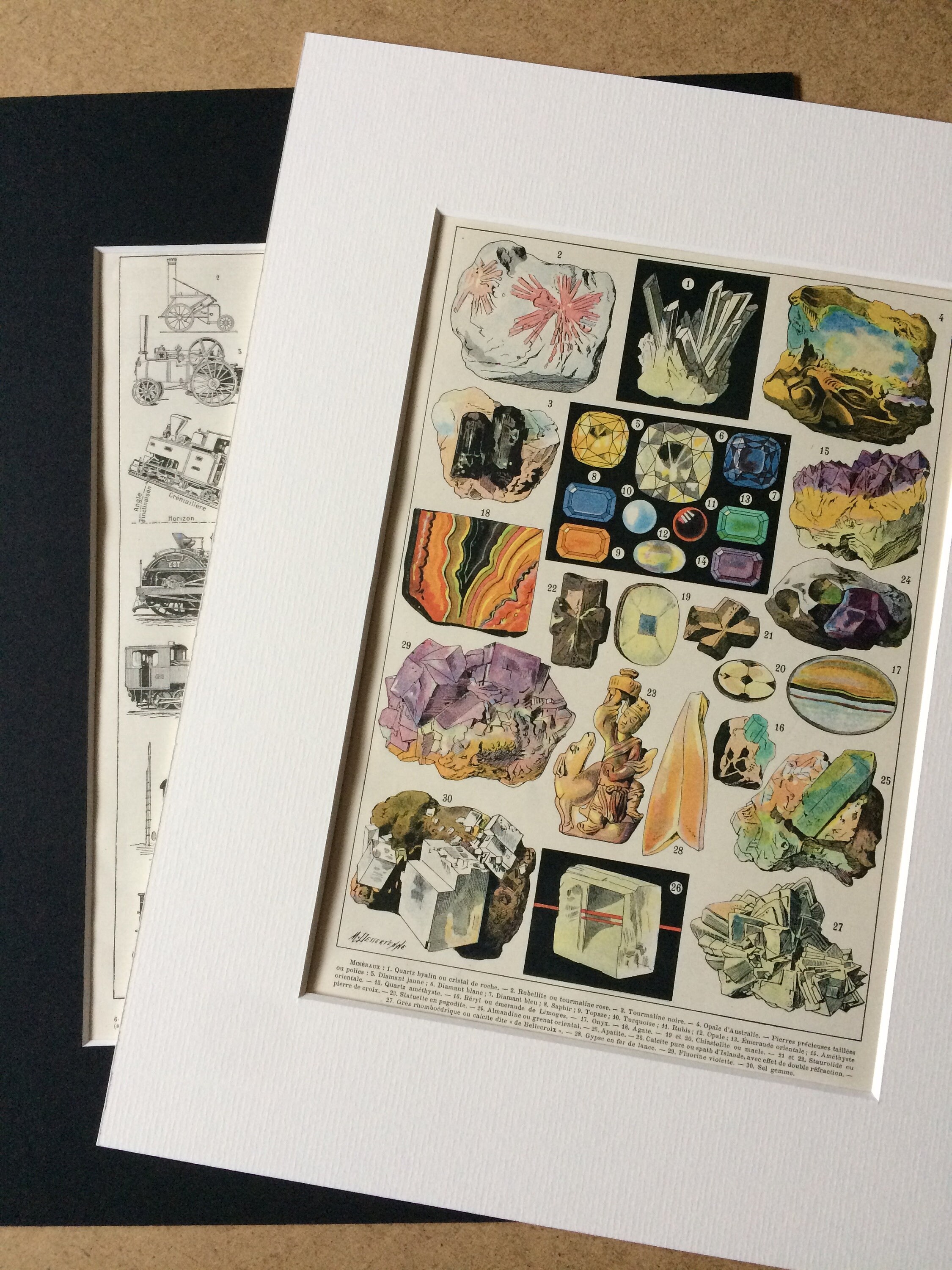 1921 Cute Bonzo Puppy Original Antique Print Sweet Playful | Etsy