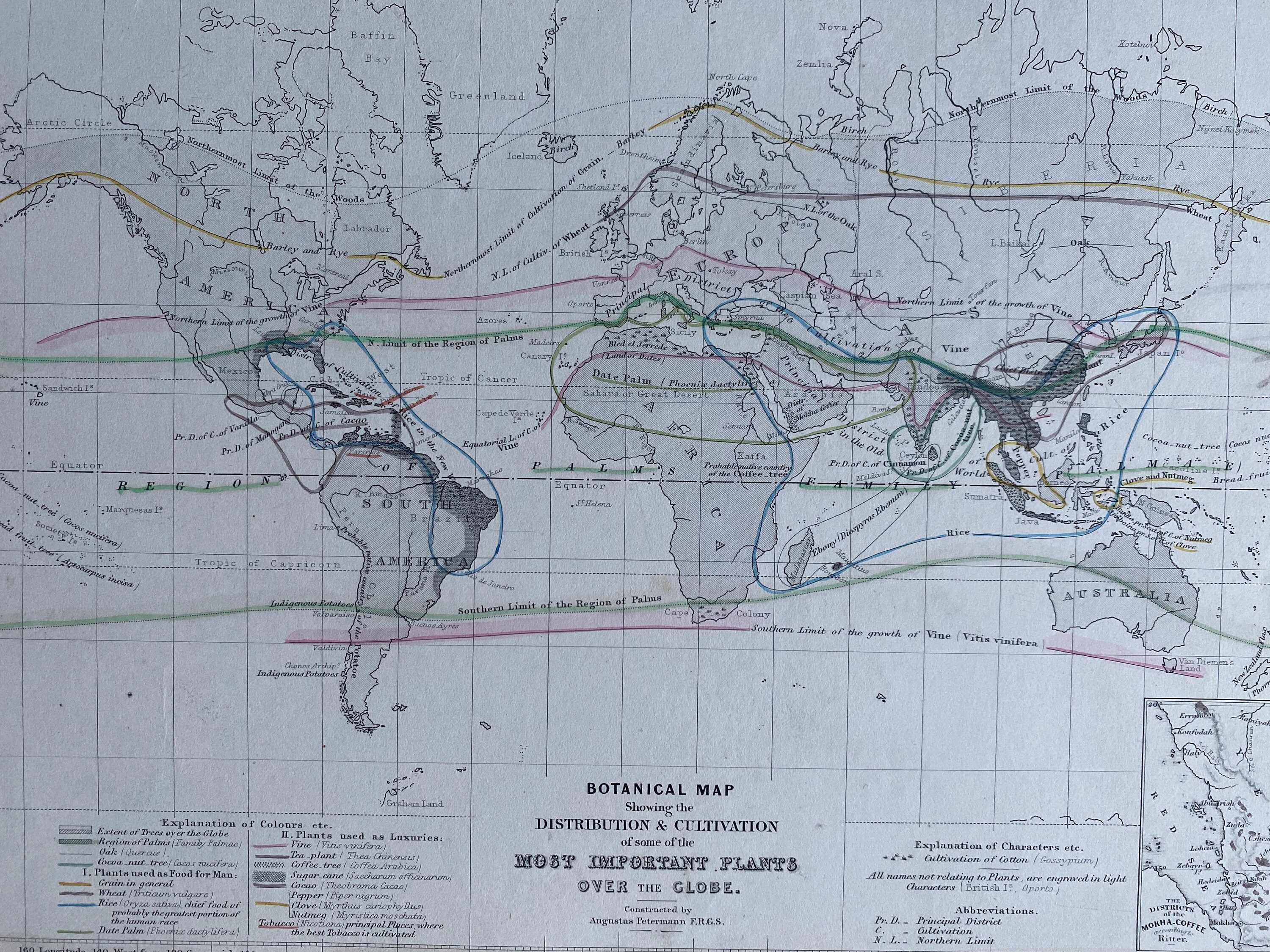 1853 Botanical Map showing the Distribution and Cultivation of some of ...