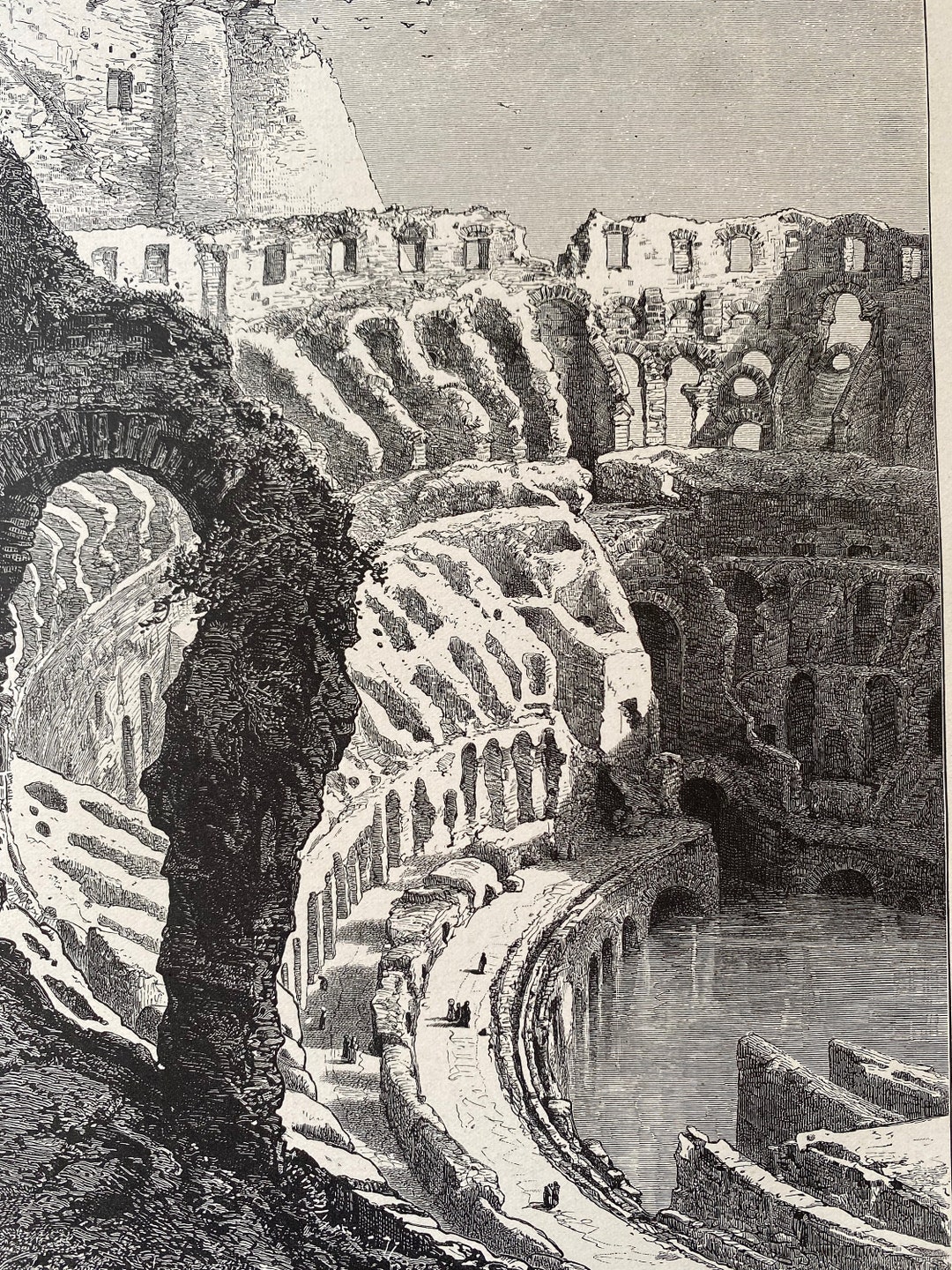 1876 Interior of the Coliseum Original Antique Engraving - Mounted and ...