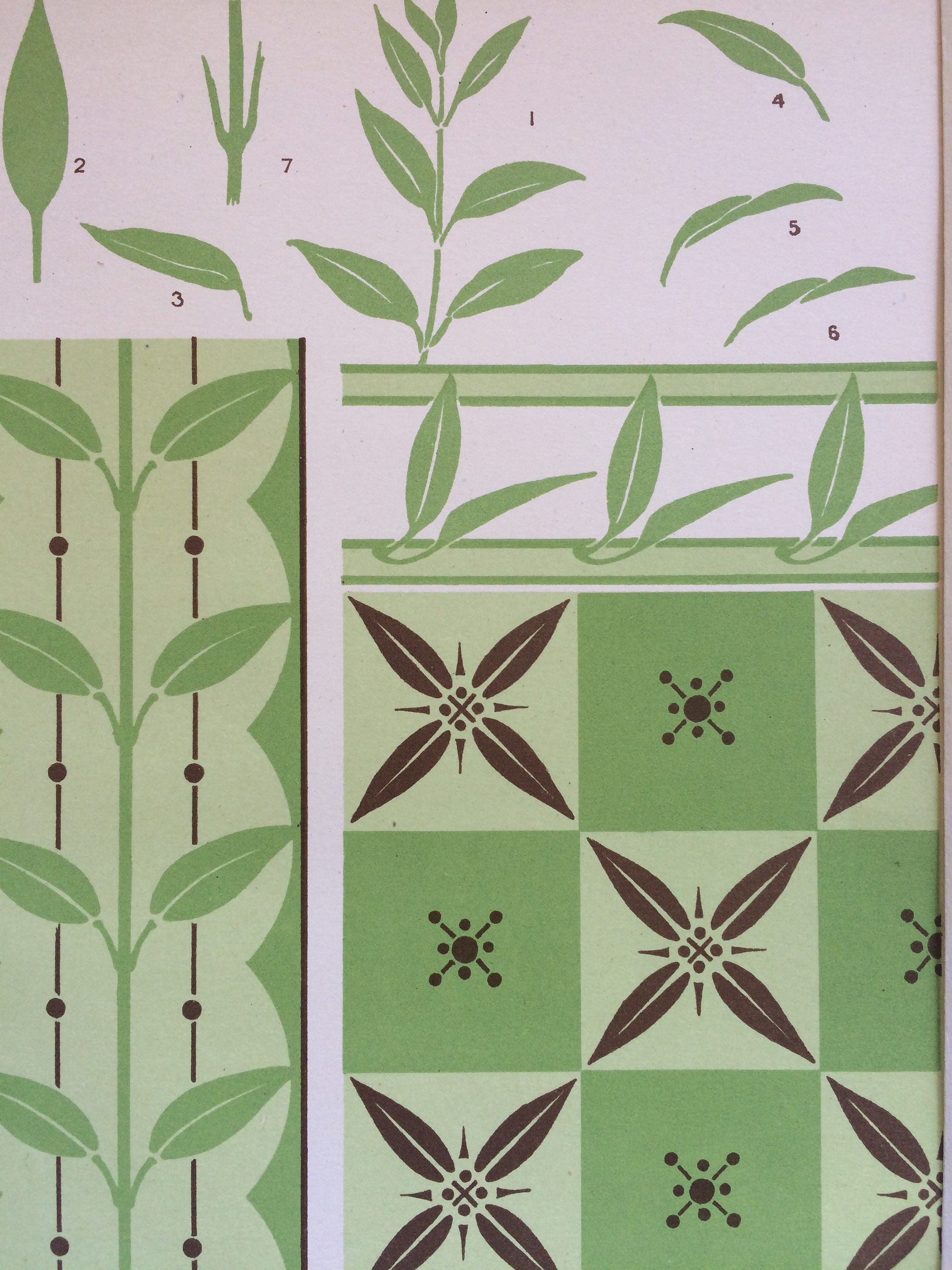 1903 Nature Forms in Design Original Antique Matted Lithograph - Wall ...