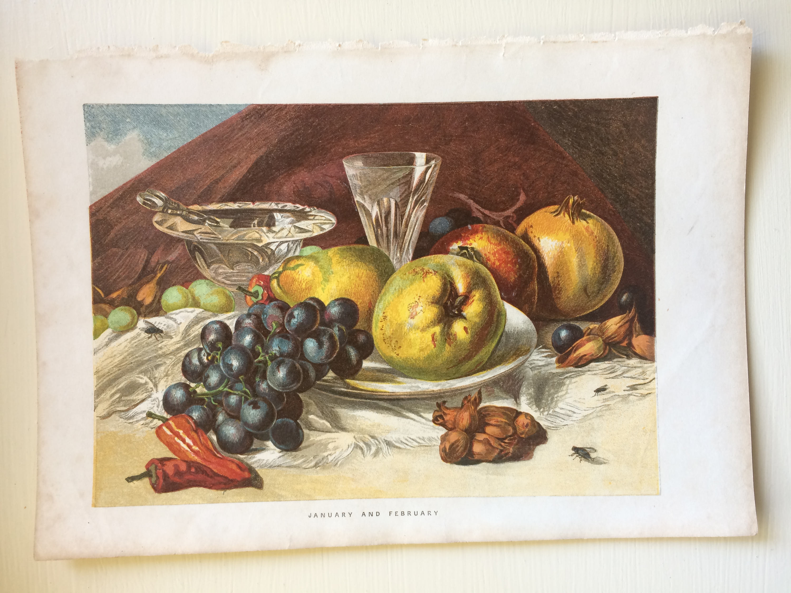 1859 Original Antique Lithograph - Fruit Still Life - Vivid Colours ...