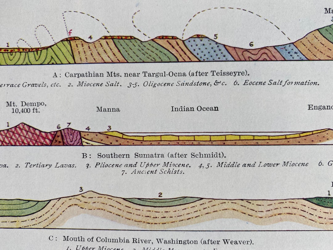 1931 Sections Through Miocene Rocks Original Antique Print - Geology ...