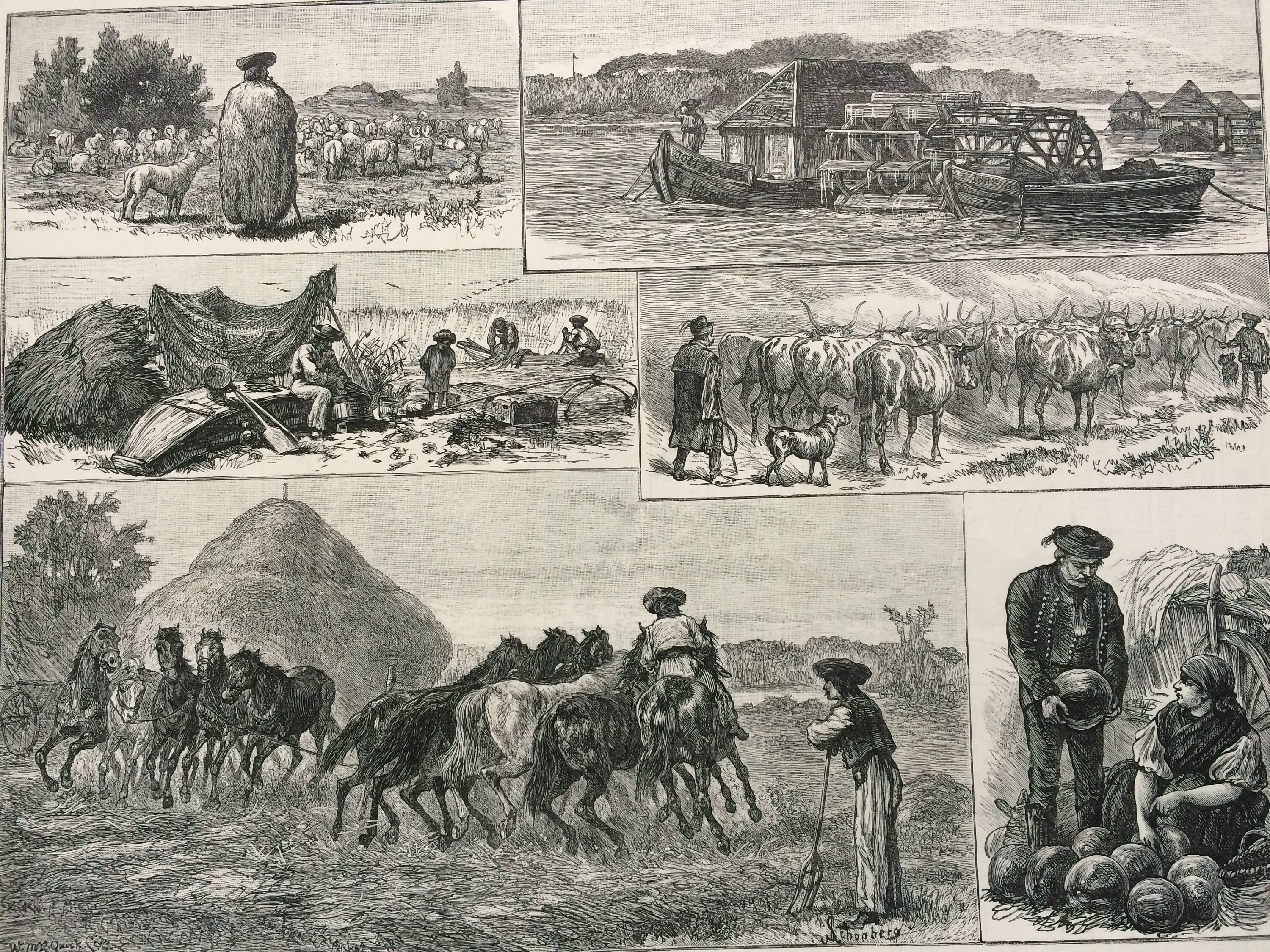 1883 Sketches of Peasant Life in Hungary Original Antique Engraving ...