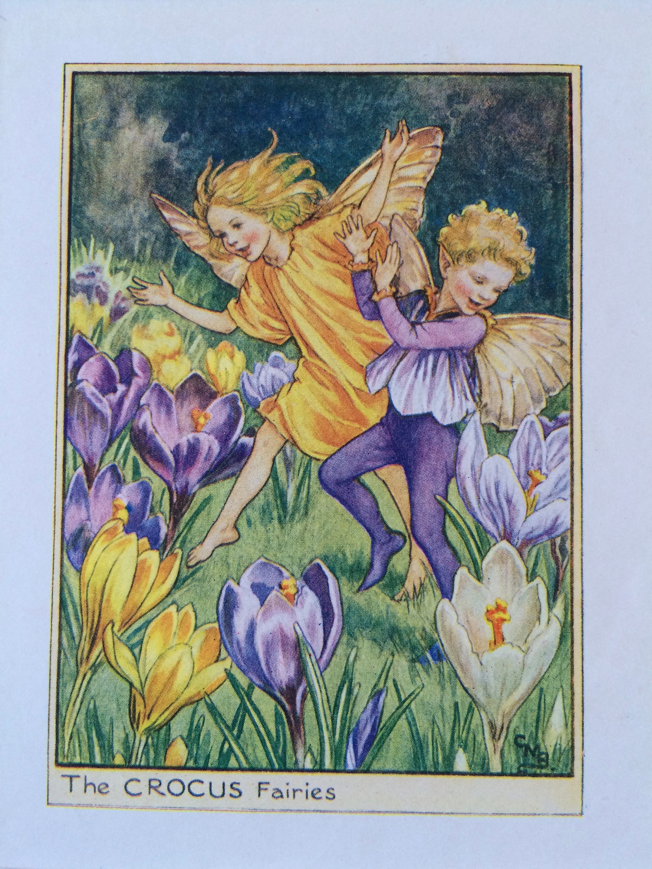 1968 Crocus Fairies Original Vintage Print - Flower Fairy - Cicely Mary ...