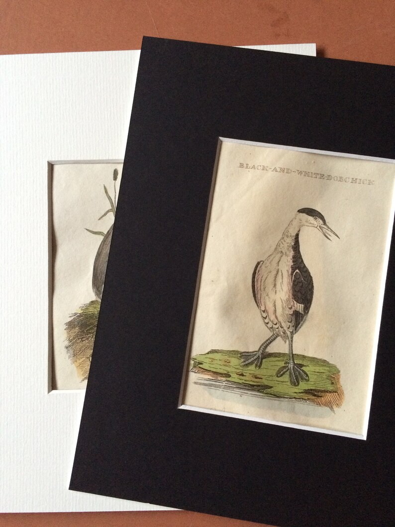 1815 Ruff Original Antique Hand-coloured Engraving - Etsy