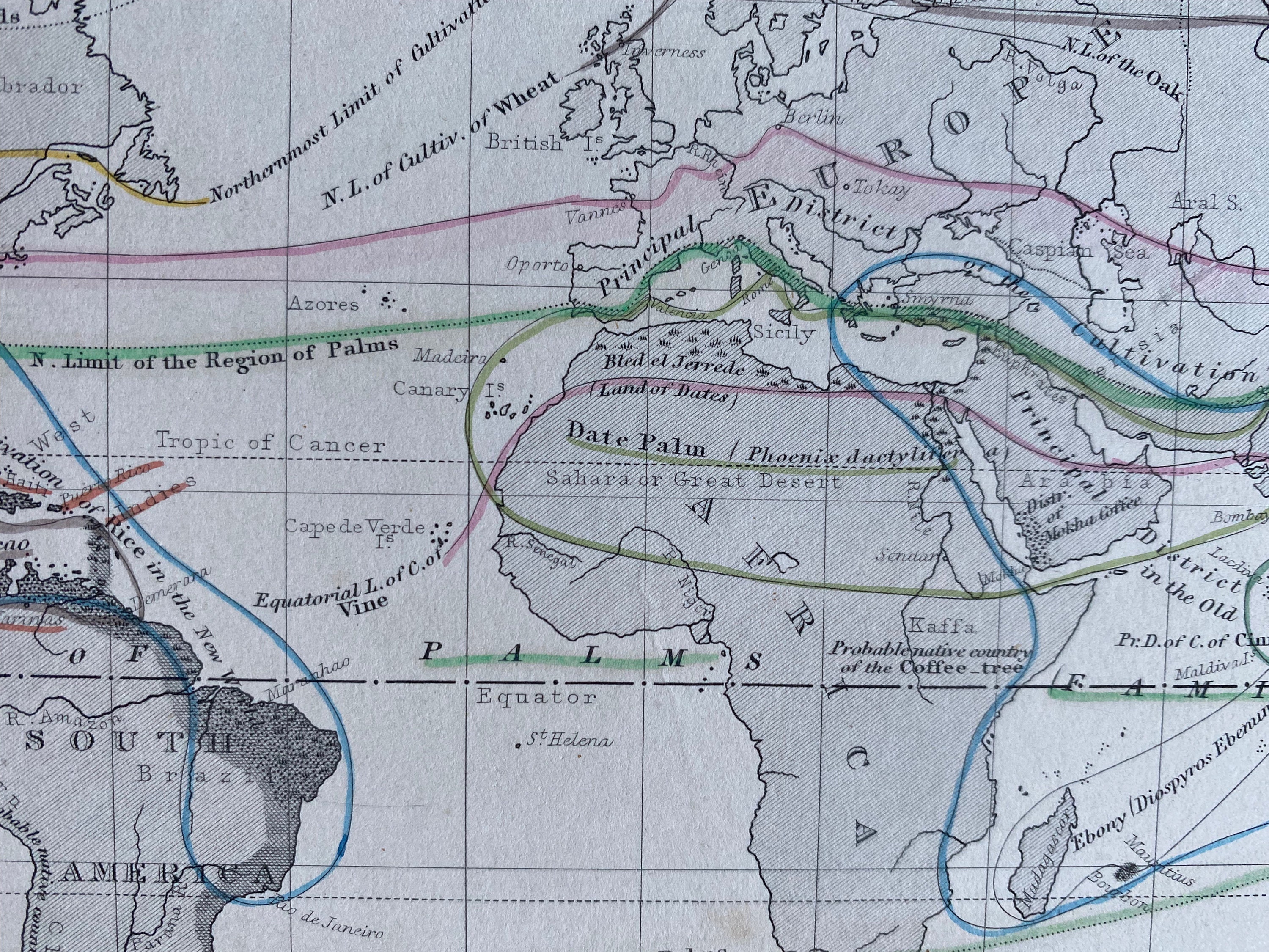 1853 Botanical Map showing the Distribution and Cultivation of some of ...