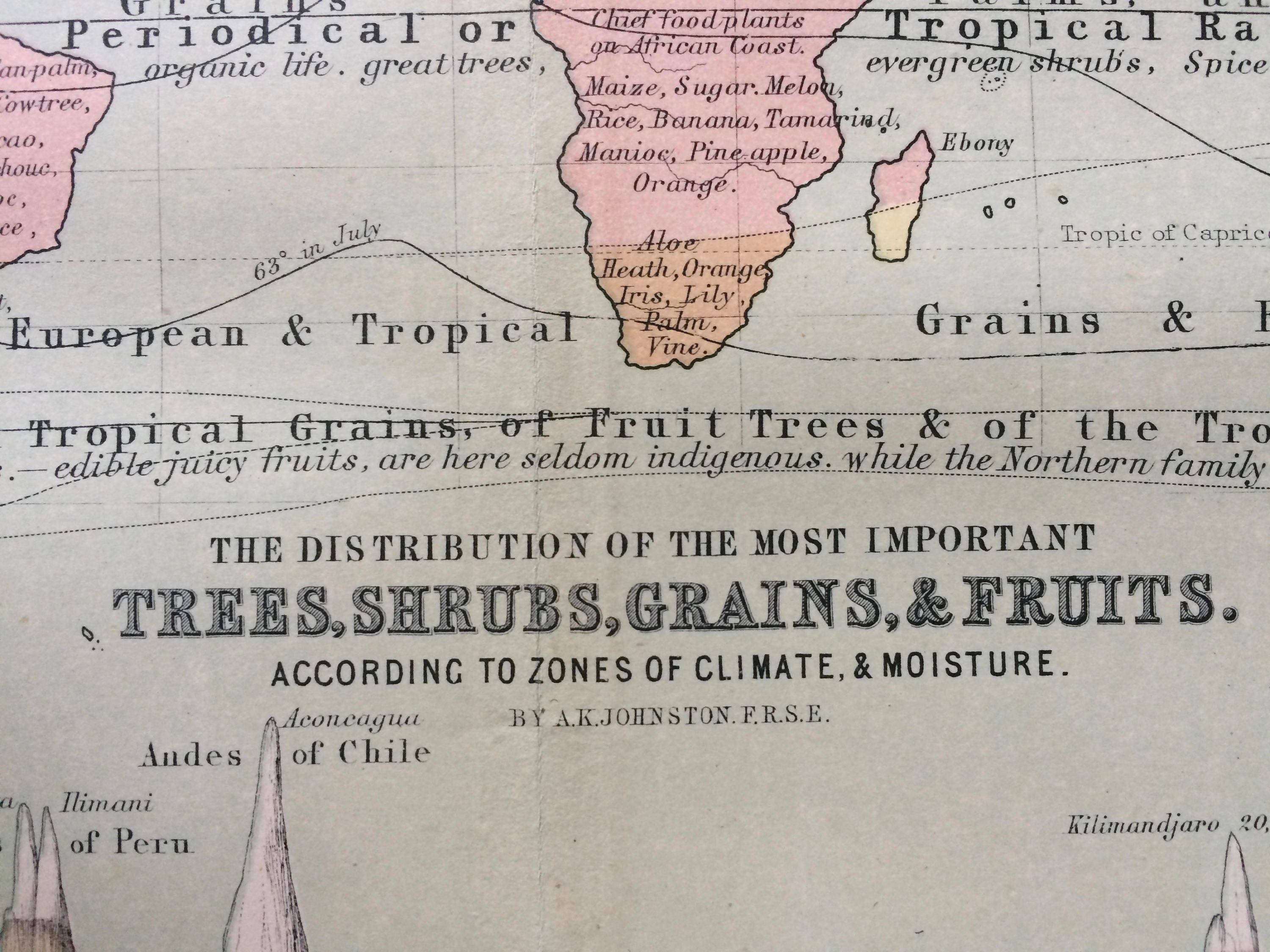 1873 Original Antique World Map showing the distribution of the most ...