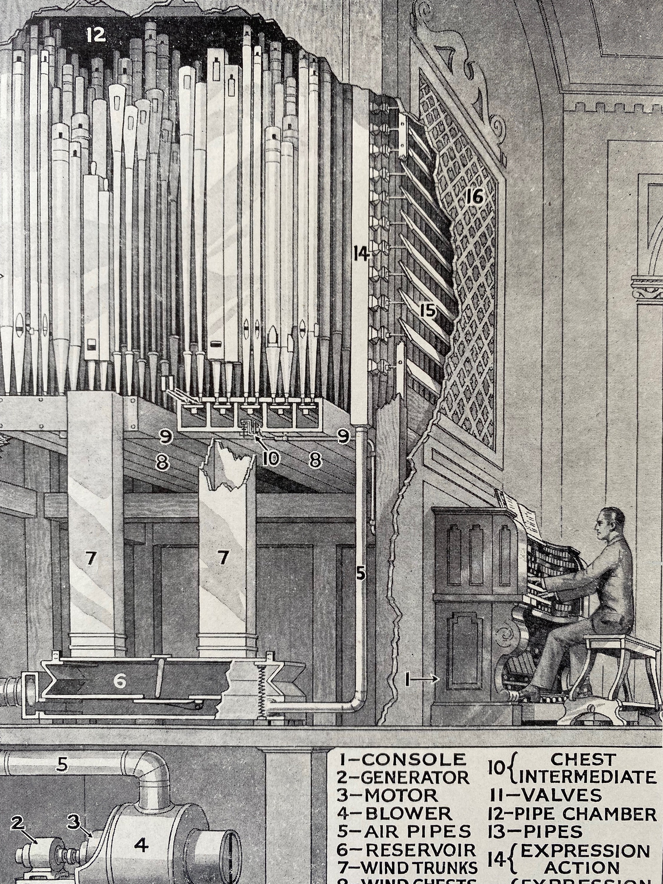 1940s How the Organ 'breathes' and 'sings' Original Vintage Print ...