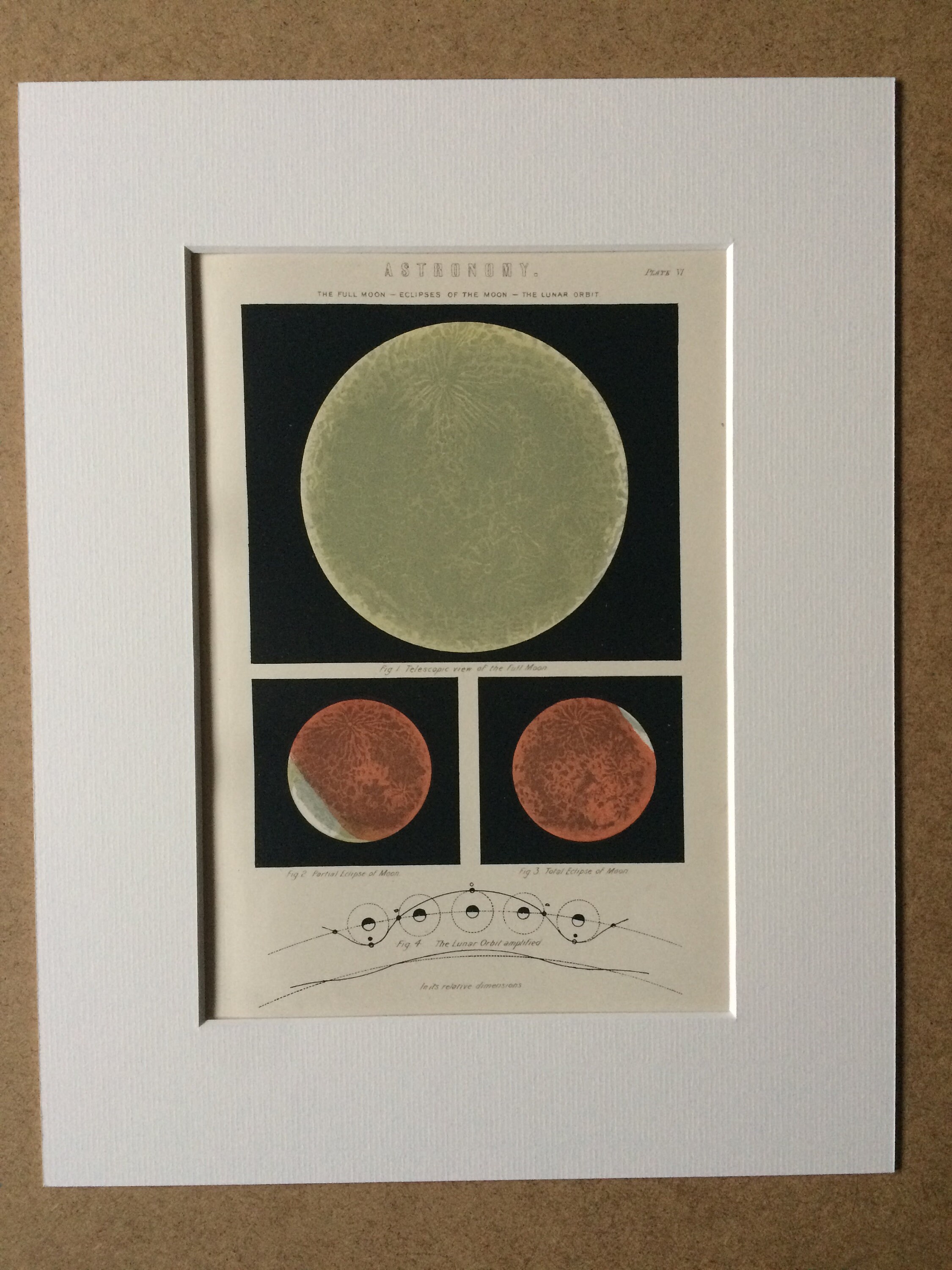 1880 Original Antique Matted Lithograph - The Full Moon, Eclipses of ...