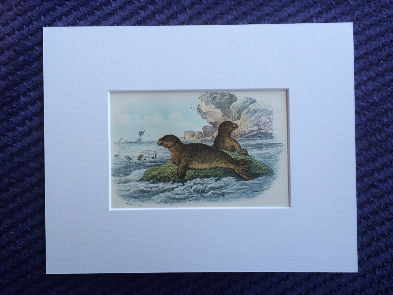 1896 Seal Antique Print, Mounted, Matted & Ready to Frame