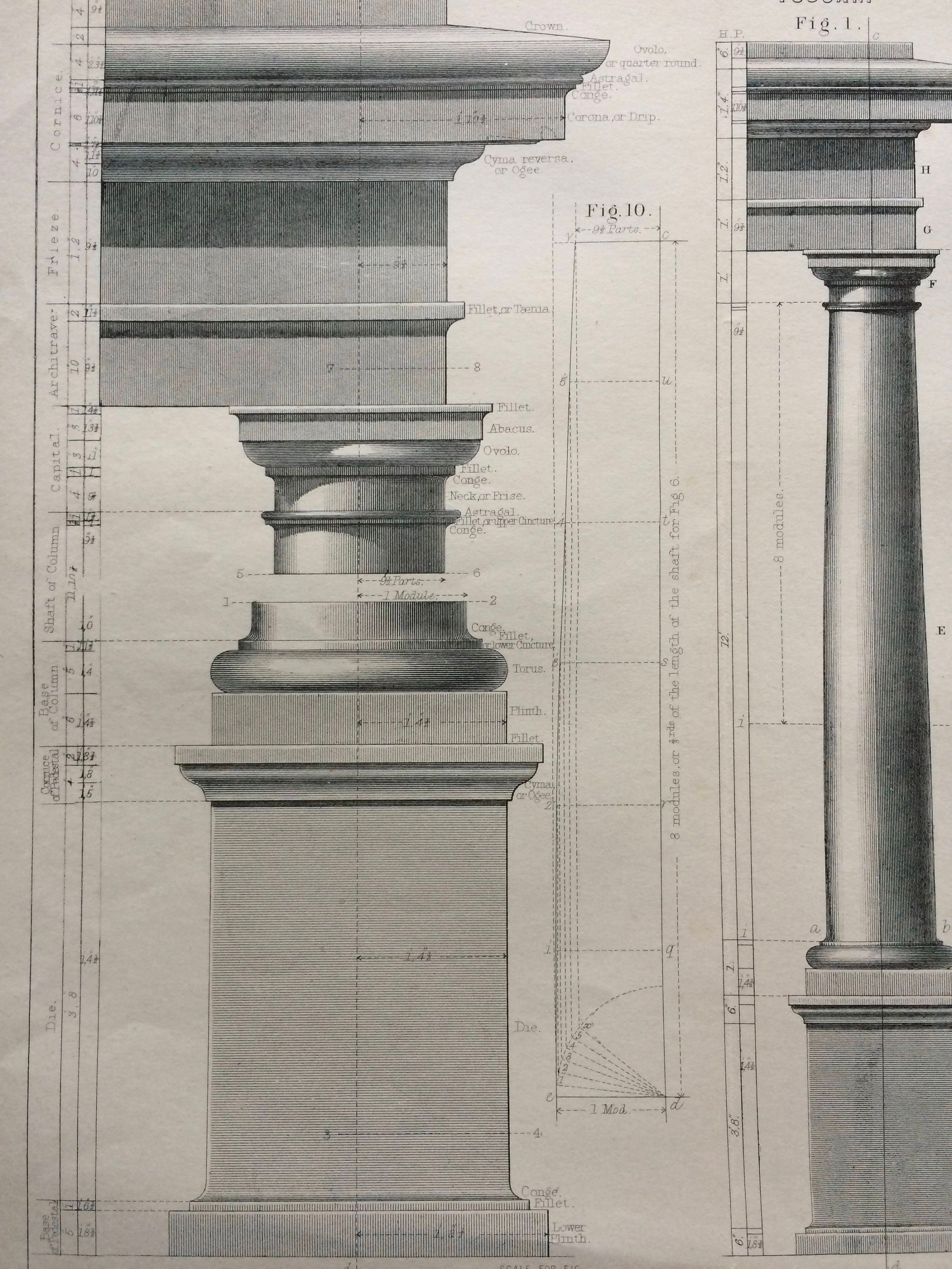 1880 Column Types Original Antique Steel Engraving Five Orders of ...