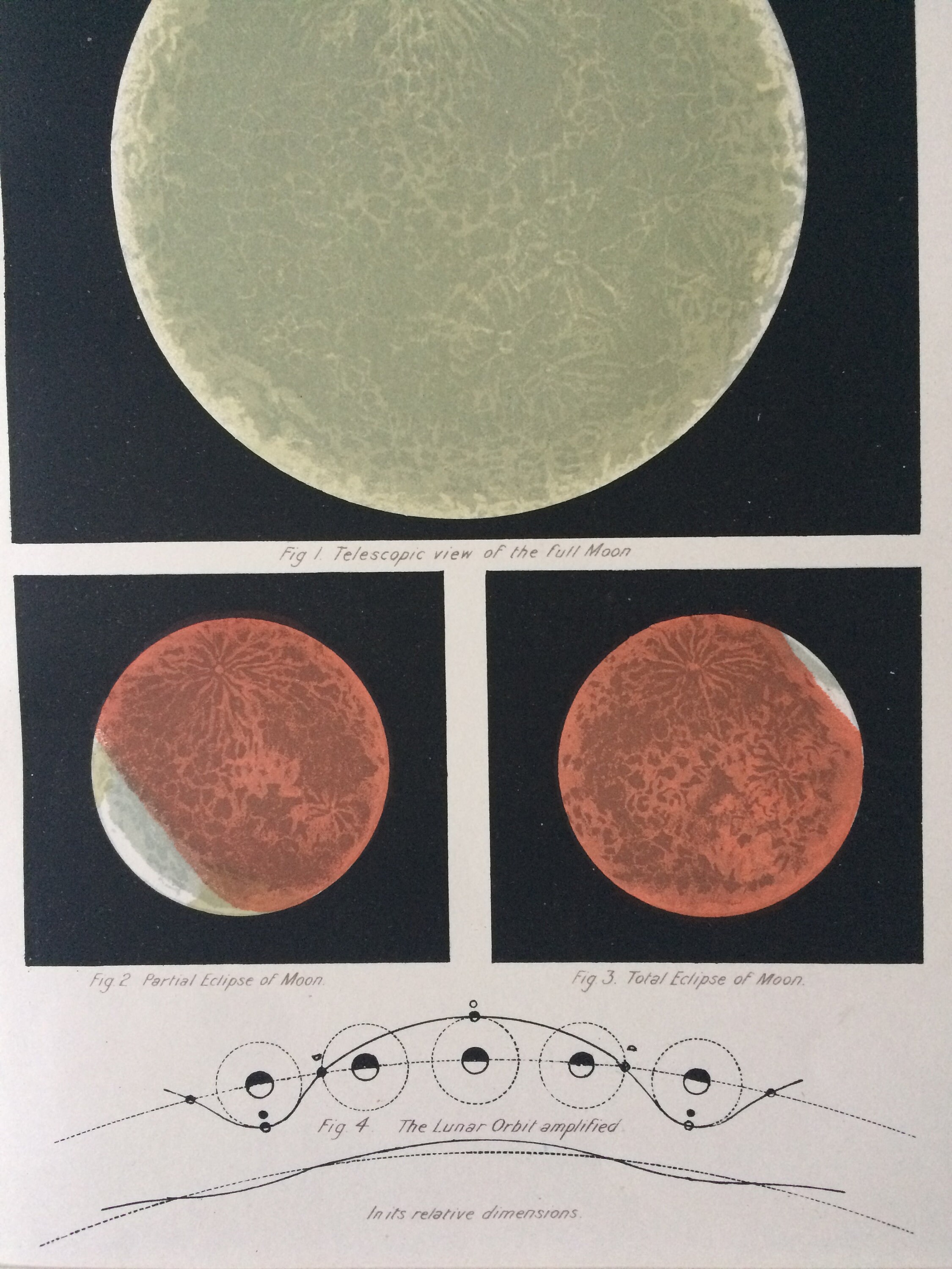 1880 Original Antique Matted Lithograph - The Full Moon, Eclipses of ...