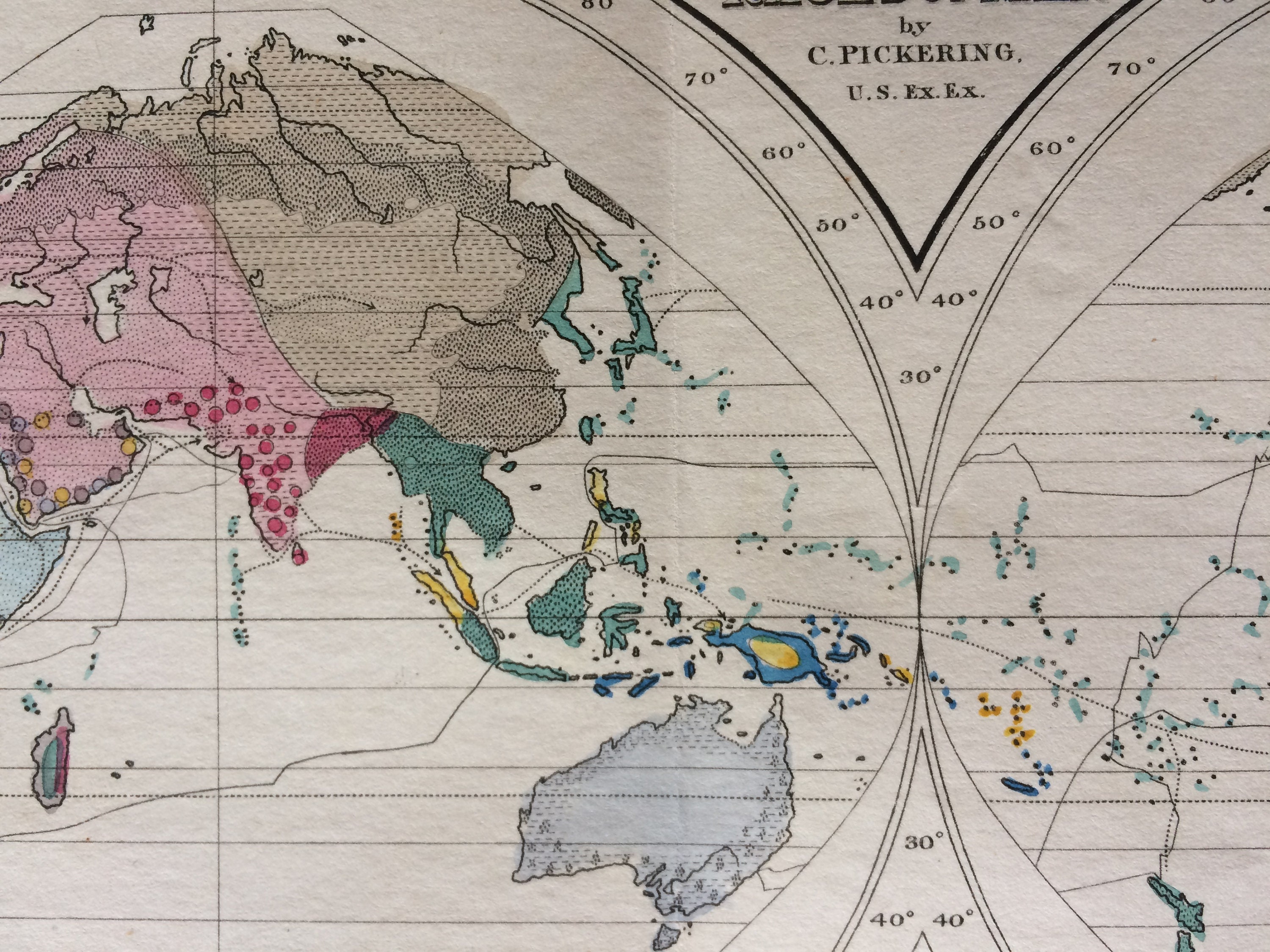 1854 Geographical Distribution of the Races of Men Original Antique ...