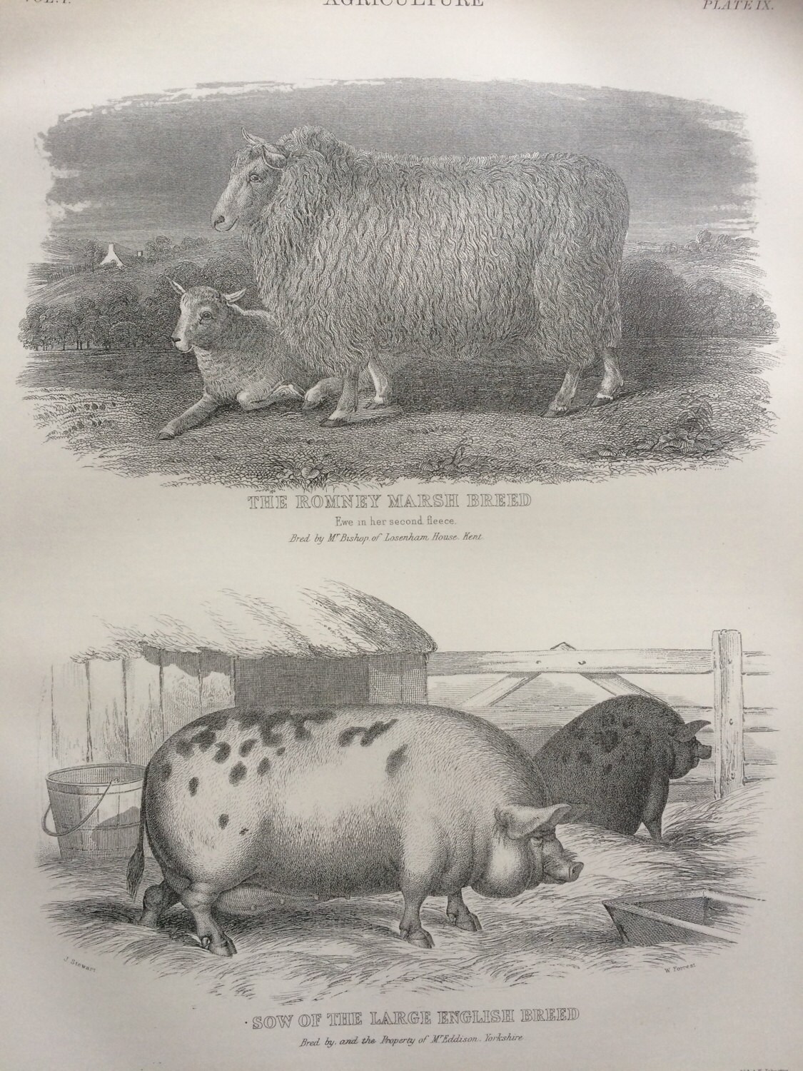 1875 Agriculture Original Antique Steel Engraving Print - Farming ...
