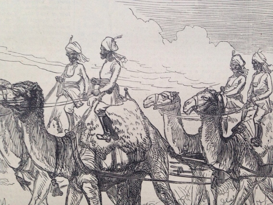 A Sketch at the Delhi Durbar, original antique print 1877, matted ...