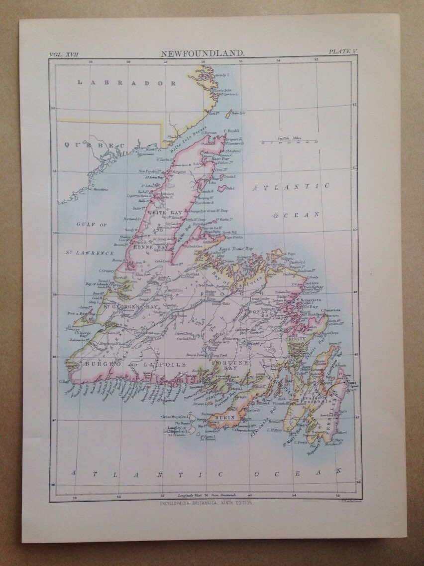 1875 NEWFOUNDLAND original antique map, cartography, geography, wall ...