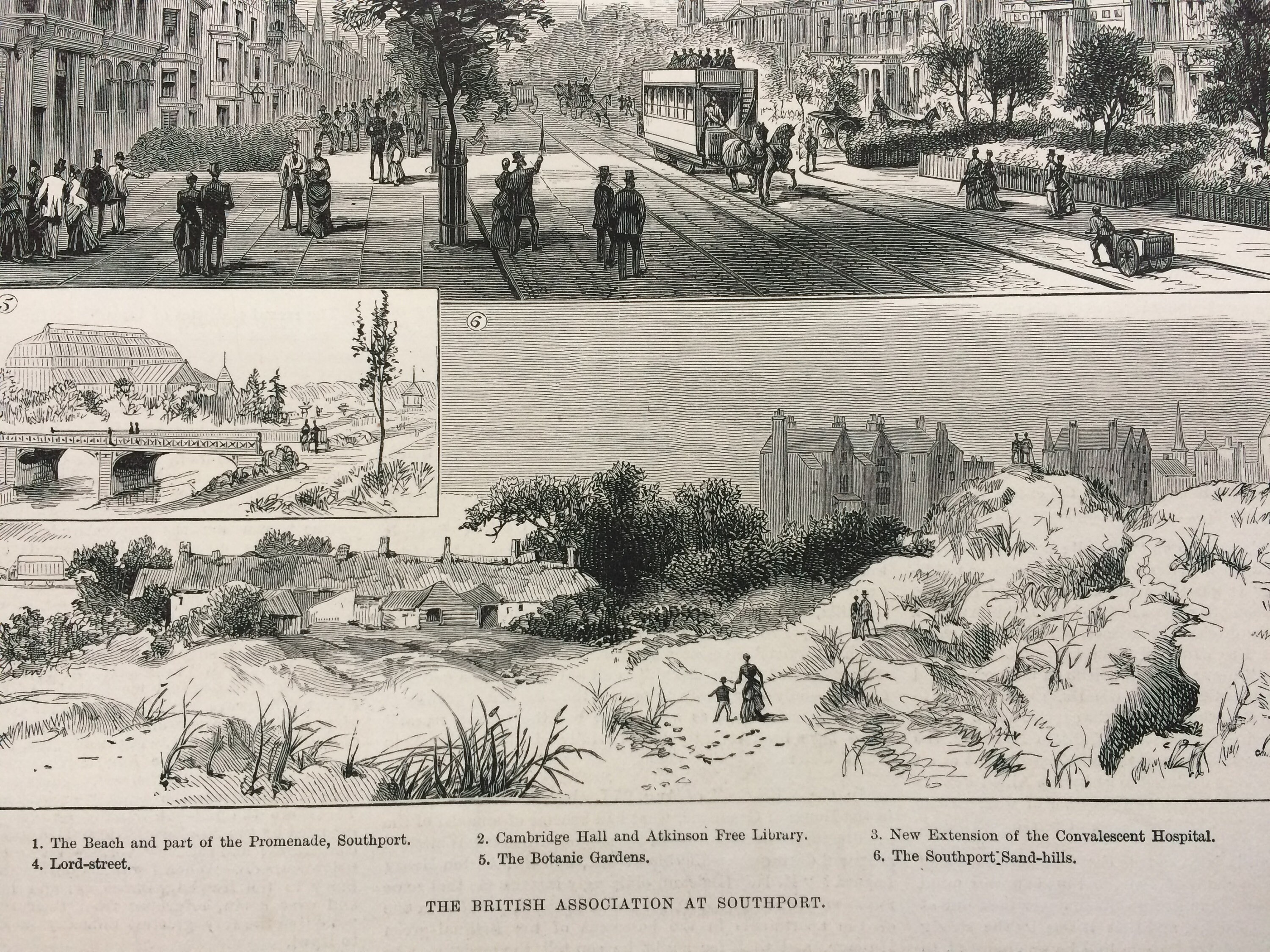 1883 Original Antique Engraving - The British Association at Southport ...