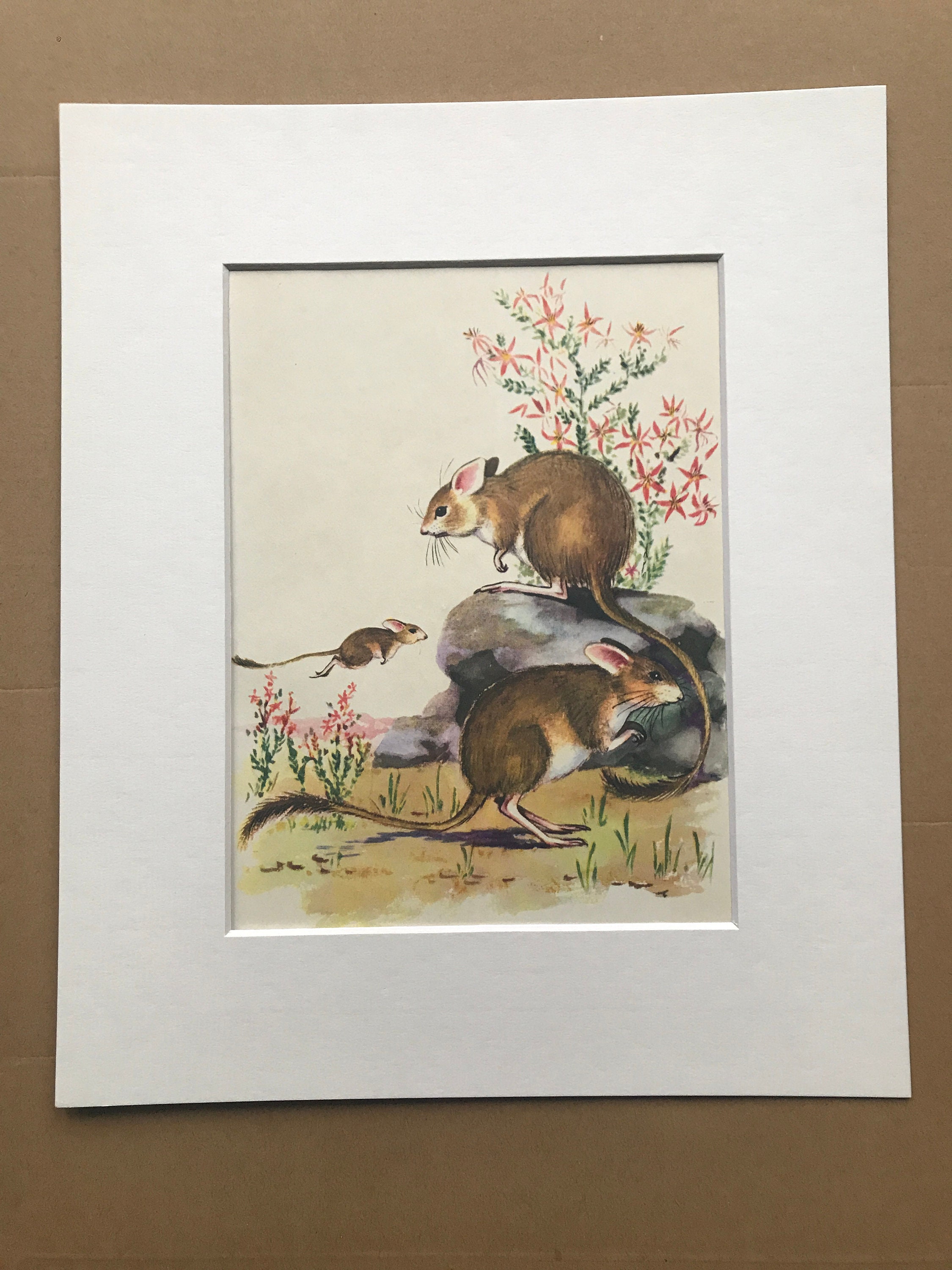 1956 Mitchell's Hopping Mouse Original Vintage | Etsy