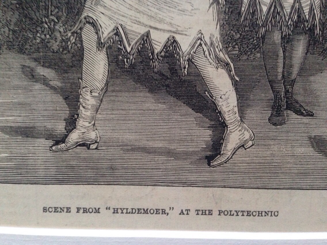 Scene from Hyldemoer at the Polytechnic, original antique print 1877 ...