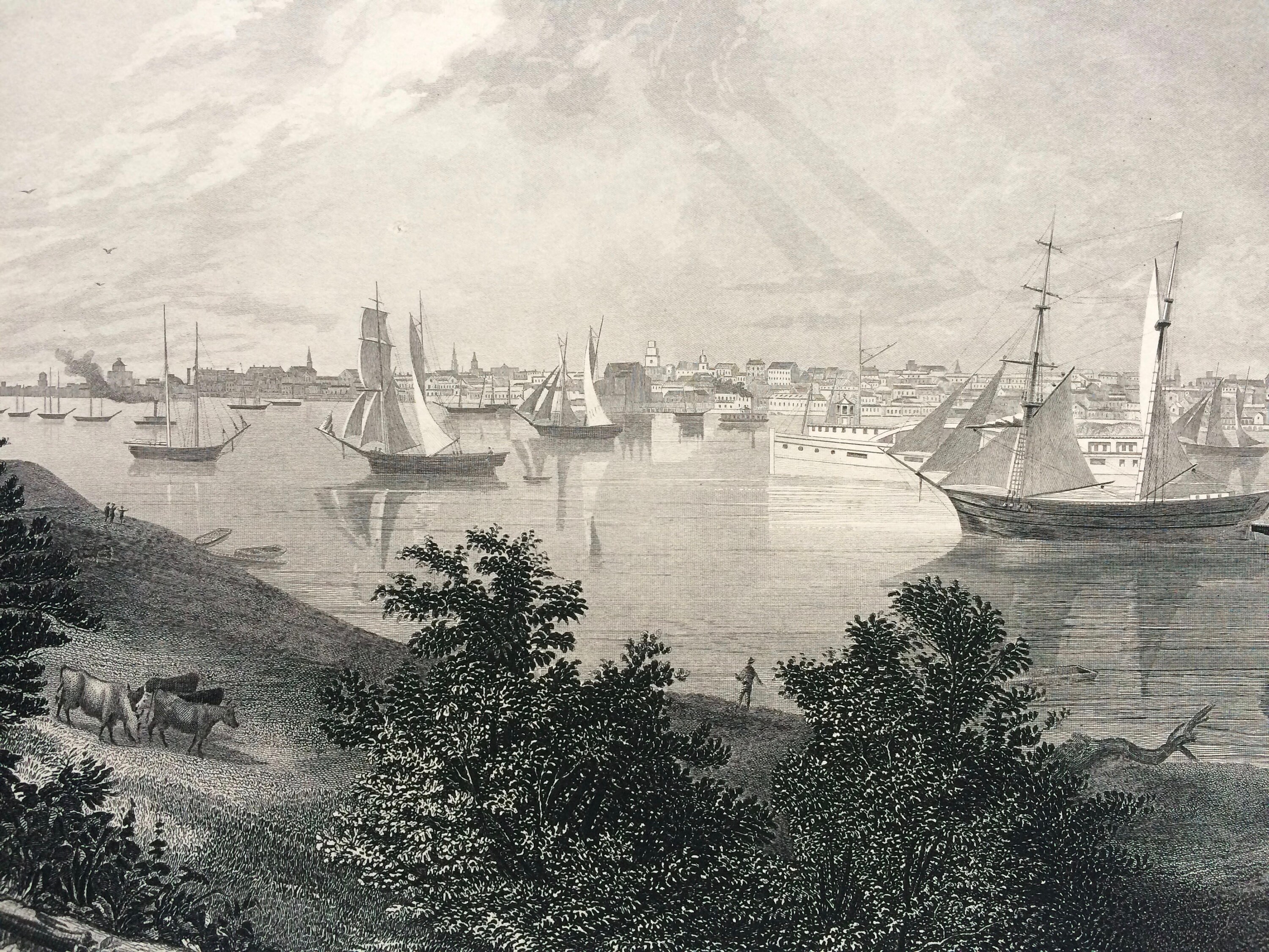 1895 The City of Detroit Original Antique Steel Engraving - Mounted and ...