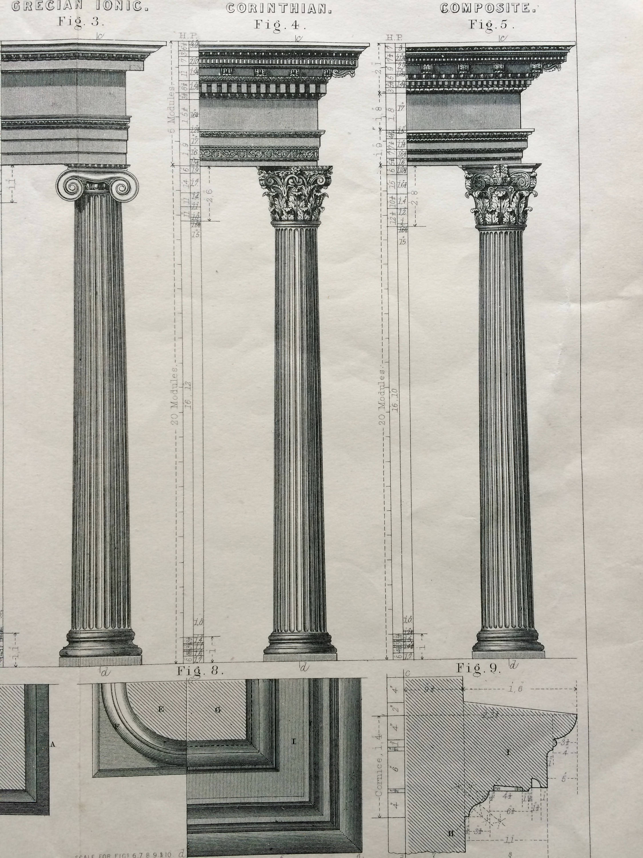1880 Column Types Original Antique Steel Engraving Five Orders of ...
