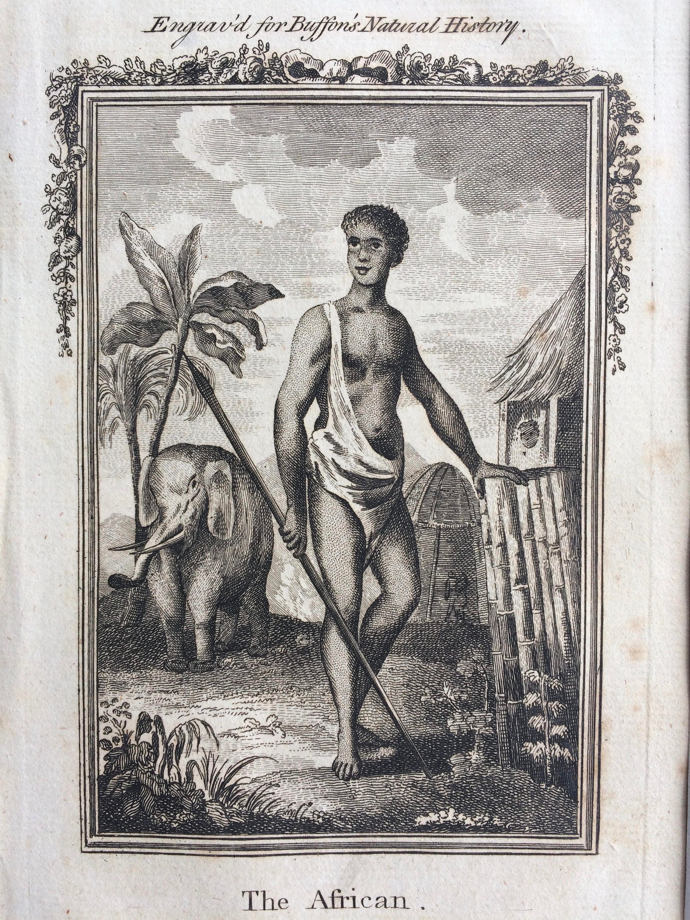 1775 Original Antique Copper Engraving - The African - Count de Buffon ...