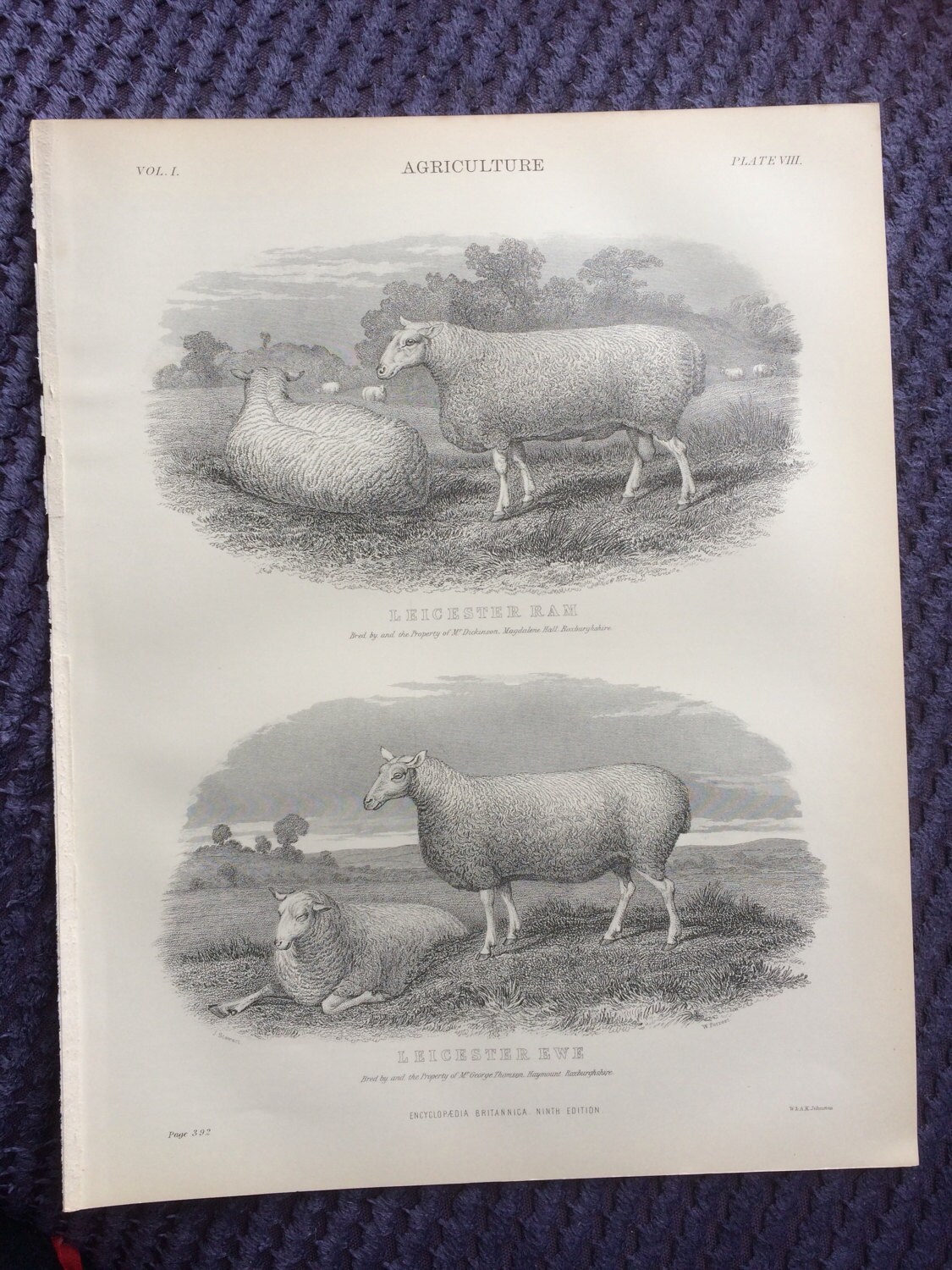 1875 Agriculture Original Antique Steel Engraving Print - Farming ...
