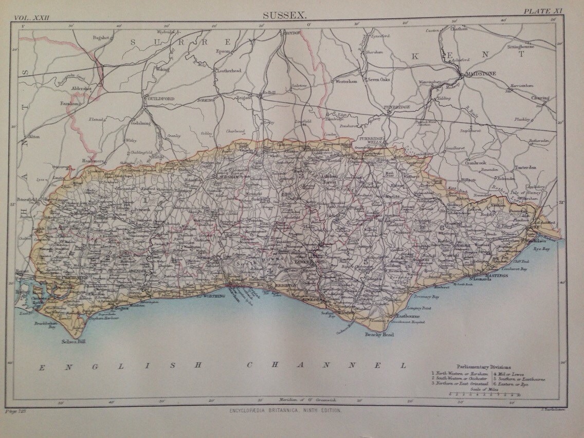 1875 SUSSEX original antique map, cartography, geography, wall decor ...