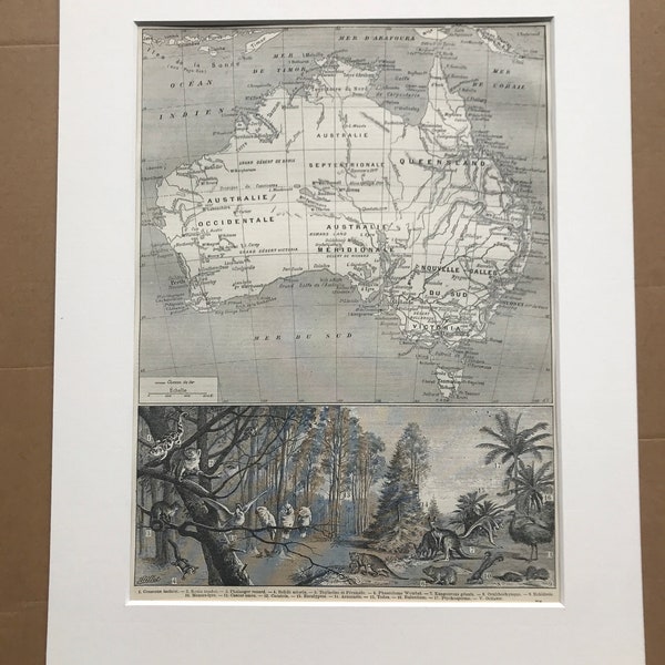 Wildlife Map of Australia - Etsy