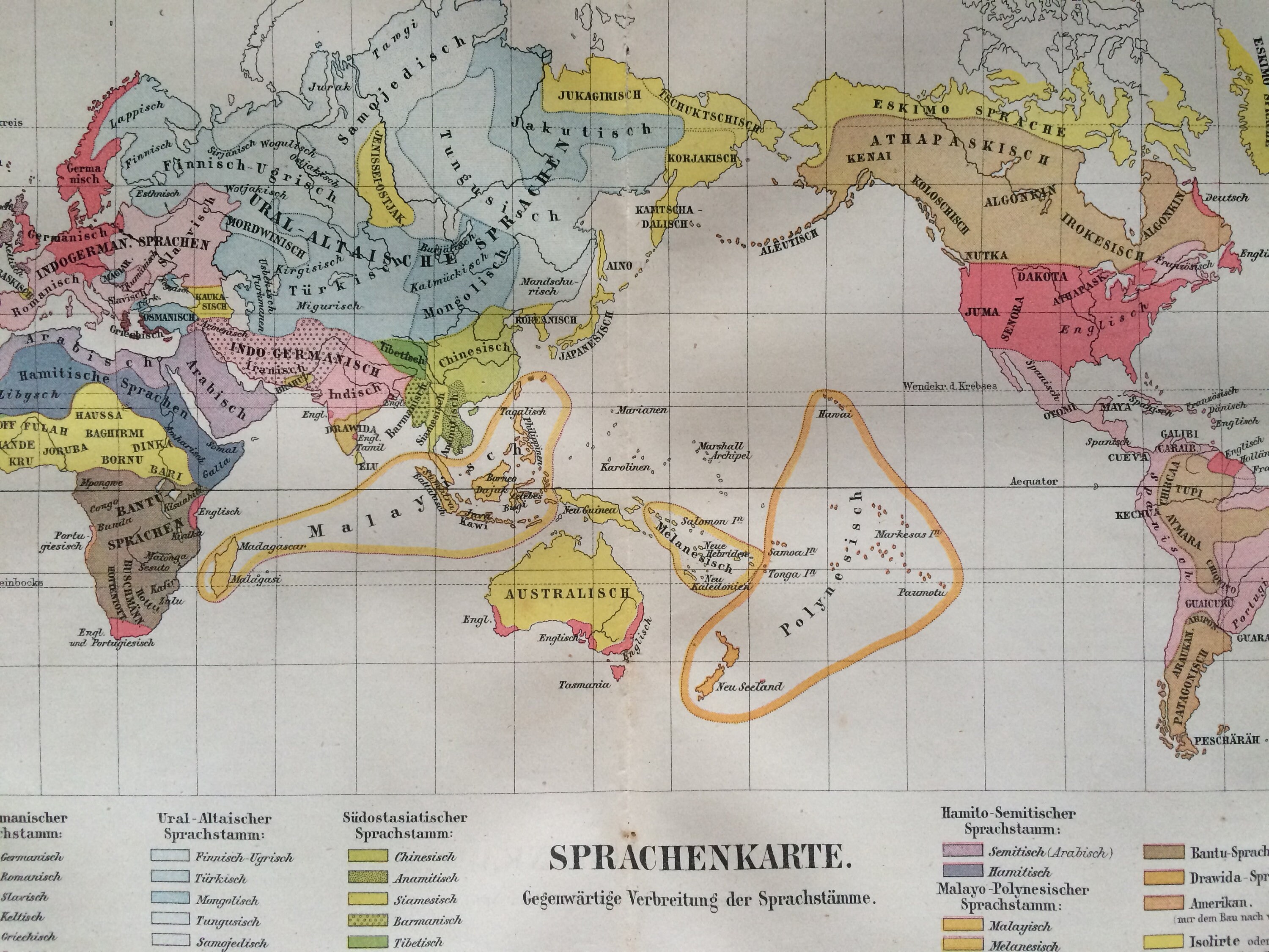 1878 Language World Map Large Original Antique Map - Available Mounted ...