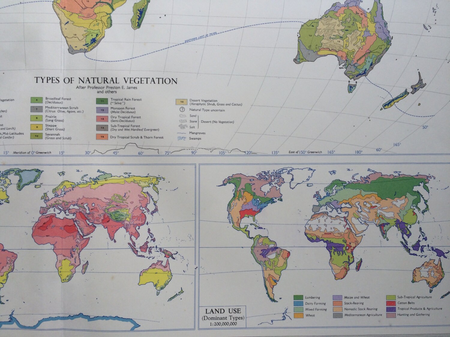 1958 Extra Large Original Antique World Map depicting World Vegetation ...