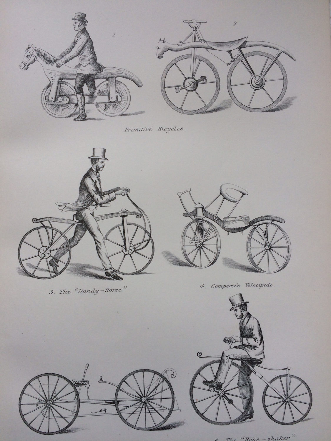 1891 Original Antique Steel Engraving - Early forms of Bicycle ...