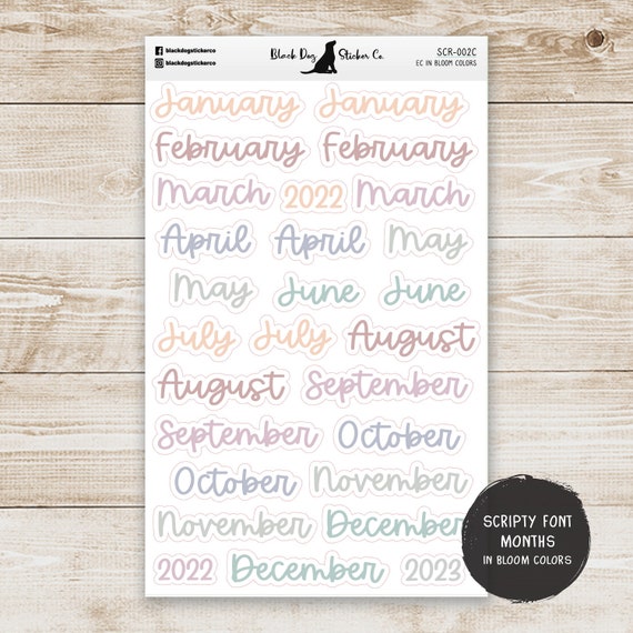 MONTHS of the YEAR Script Planner Stickers SCR-002C Erin - Etsy