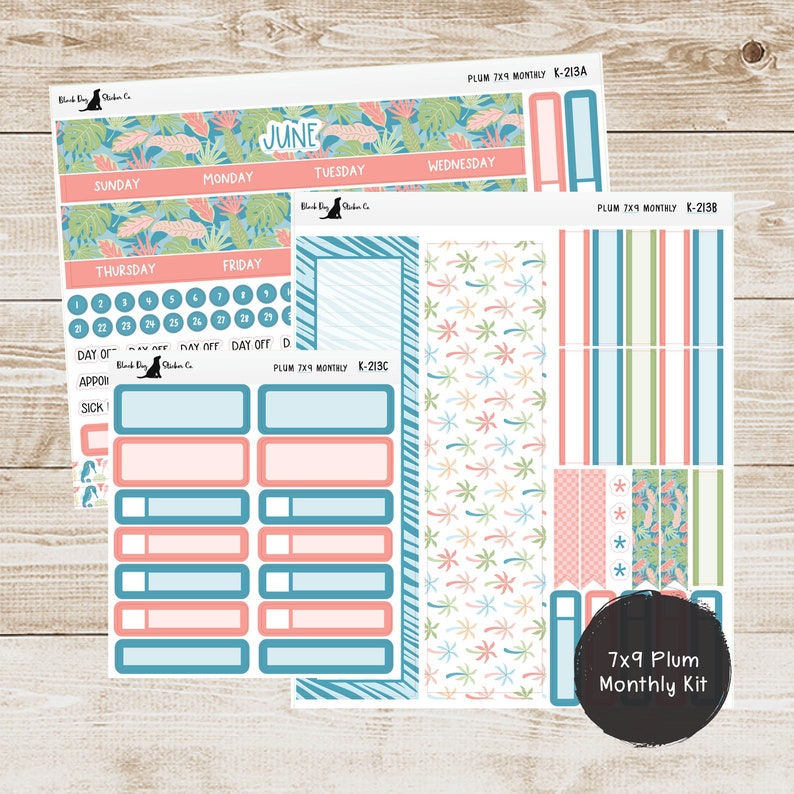K-213 Plum Paper 7x9 Monthly Kit - June 2024 - Island Vibes - Planner ...