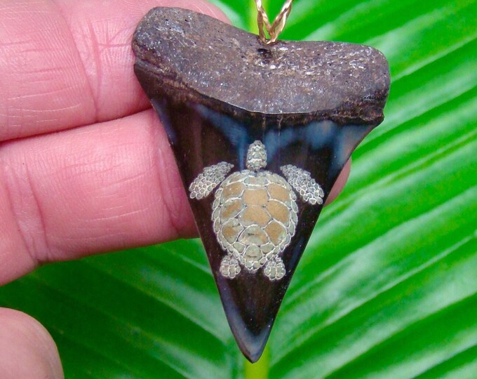 ANCESTRAL - Fossil Great White Shark Tooth W/ Brass Turtle Inlay and 14 ...