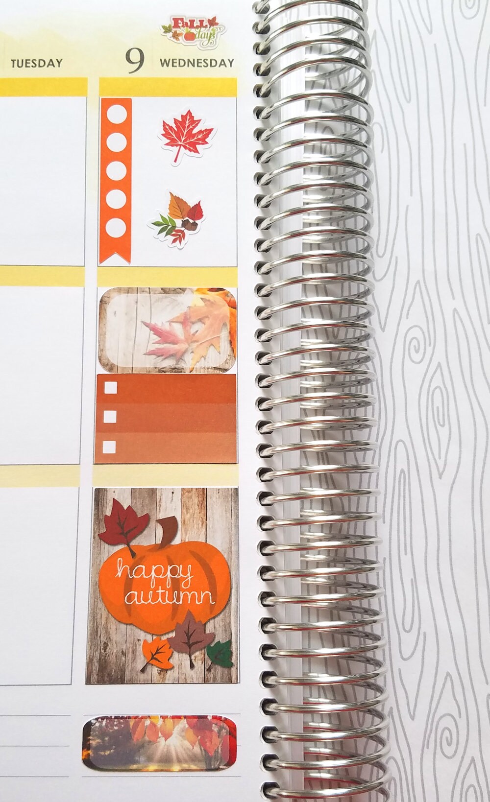 One Day Decor Strip // First Day of Fall set of 10 Item 771 - Etsy