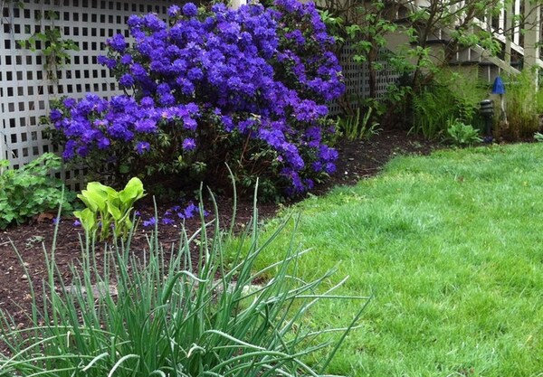 Landscape Design Plan for Full Shade Border Garden - Etsy Canada