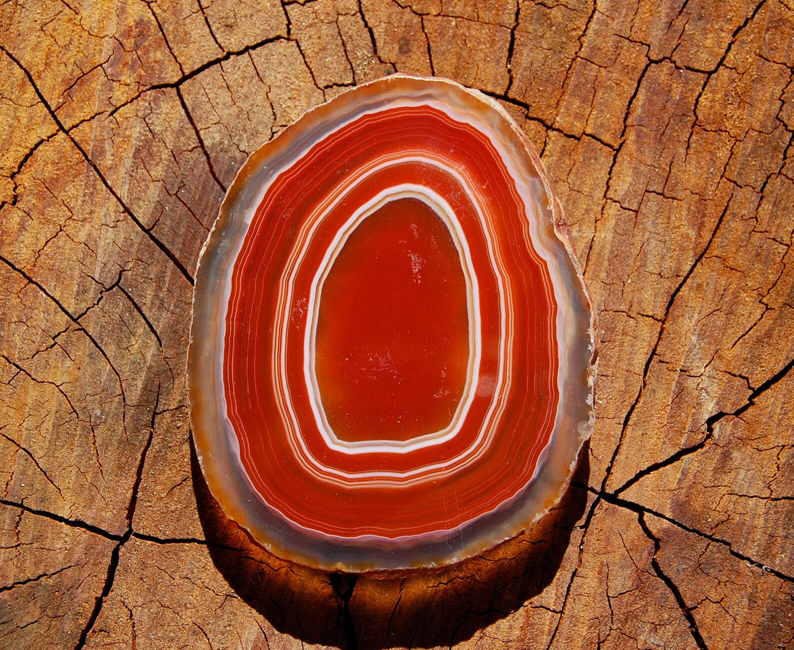 Metatron's Cube Red Agate Slice Crystal Laser Engraved Sacred Geometry ...