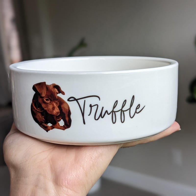 Animal Ceramic Bowl - Etsy